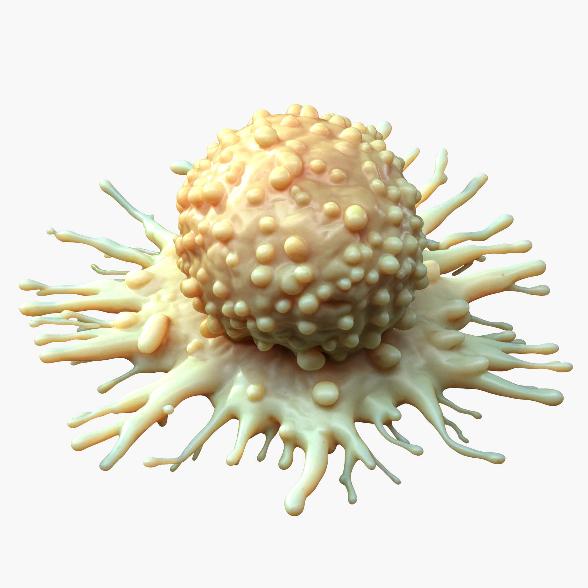 Cancer Cell Tumor - 3D Model by zames1992d