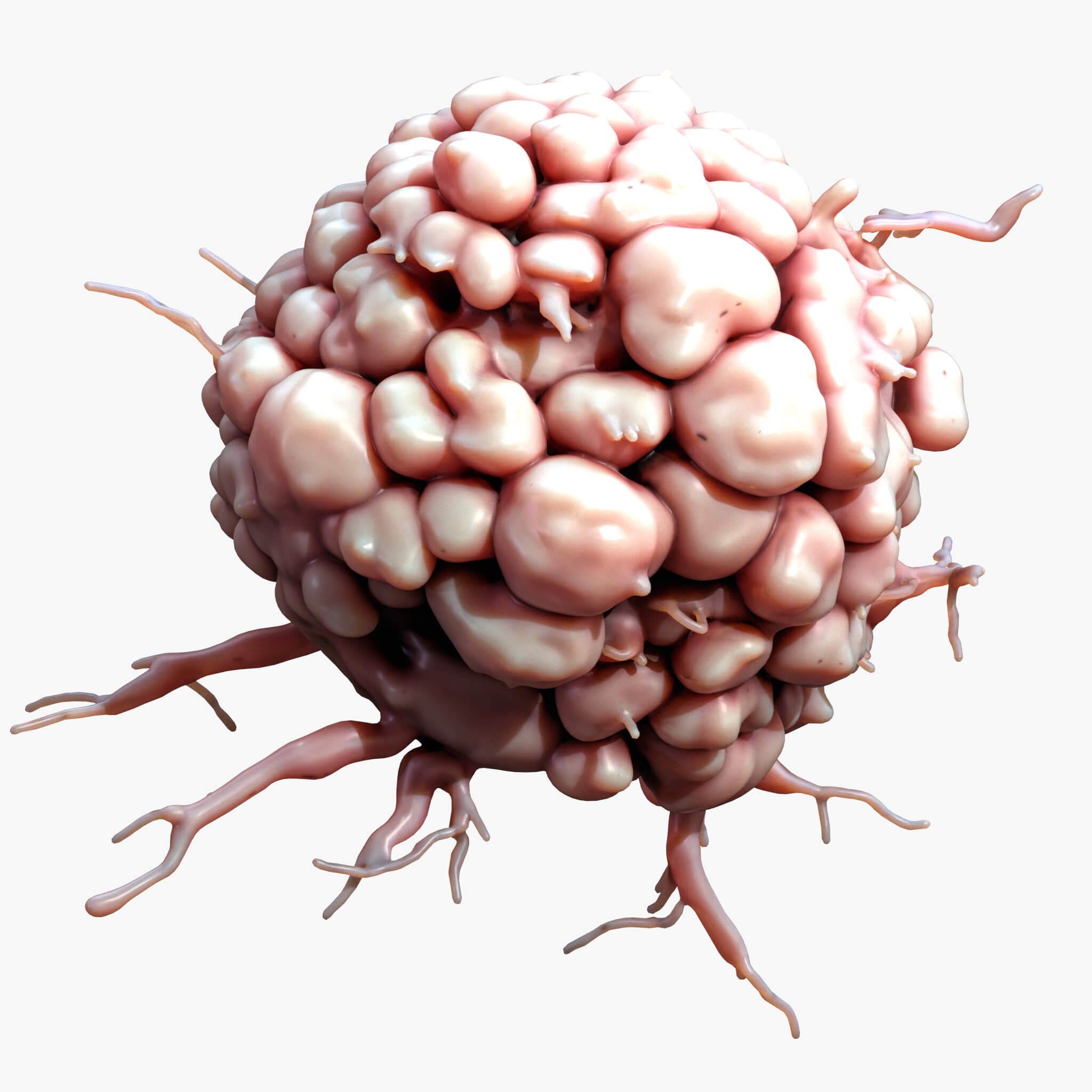 Cancer Cell Tumor - 3D Model by zames1992d