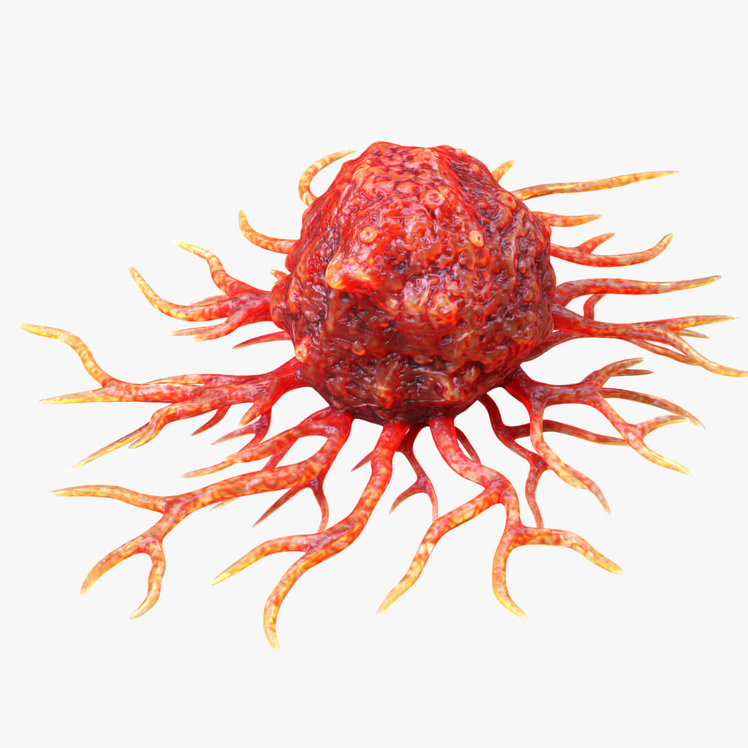 Cancer Cell Tumor - 3D Model by zames1992d