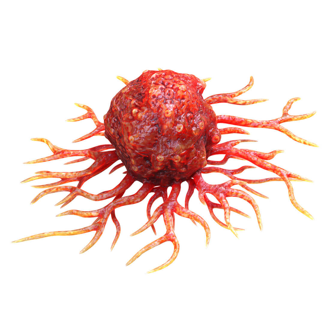 Cancer Cell Tumor - 3D Model by zames1992d