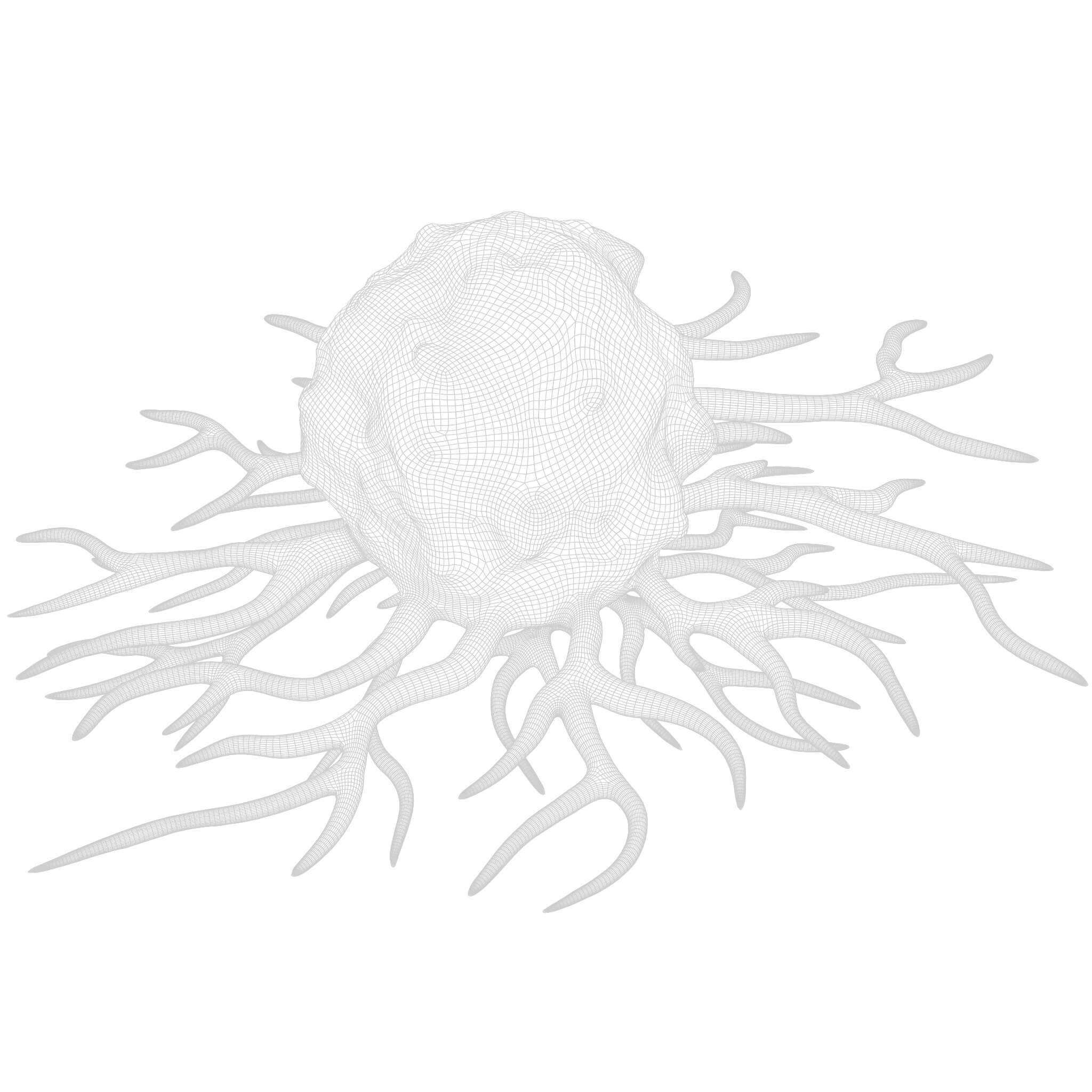 Cancer Cell Tumor - 3D Model by zames1992d