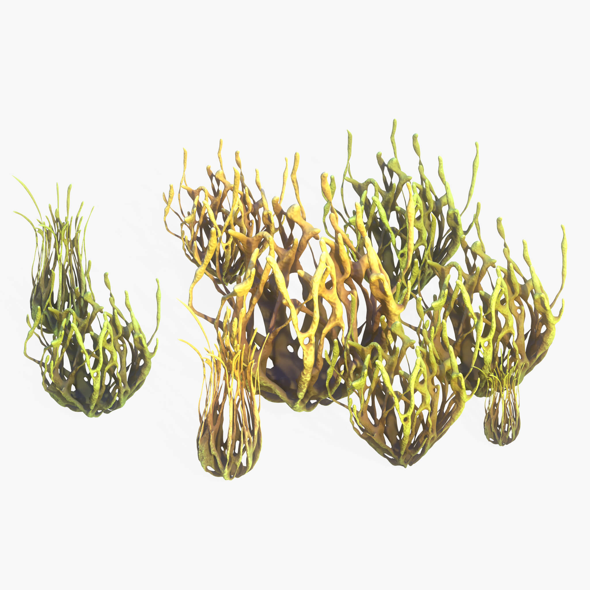 Coral Reef Stylized - 3D Model by zames1992d