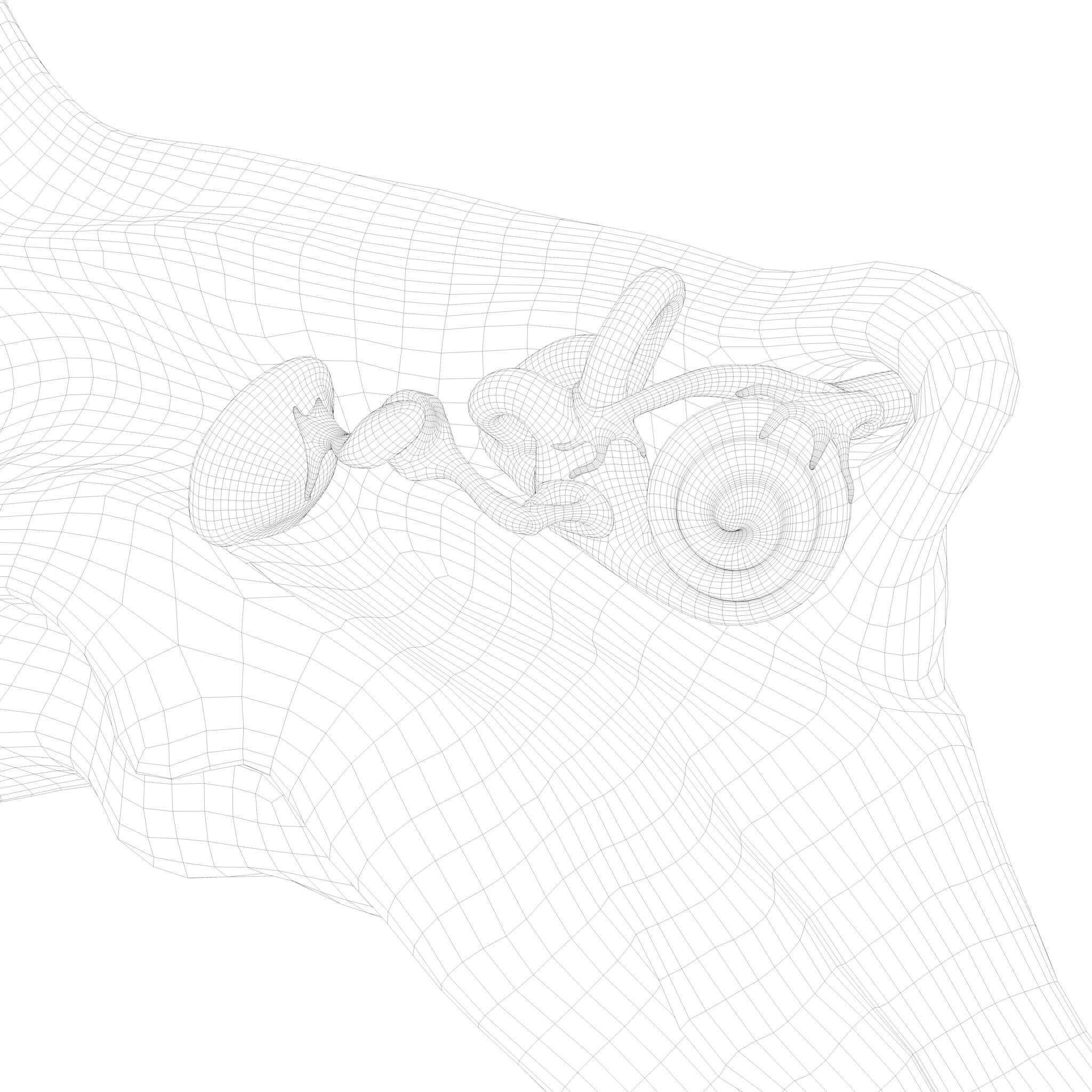 Cross Section Ear Anatomy - 3D Model by zames1992d