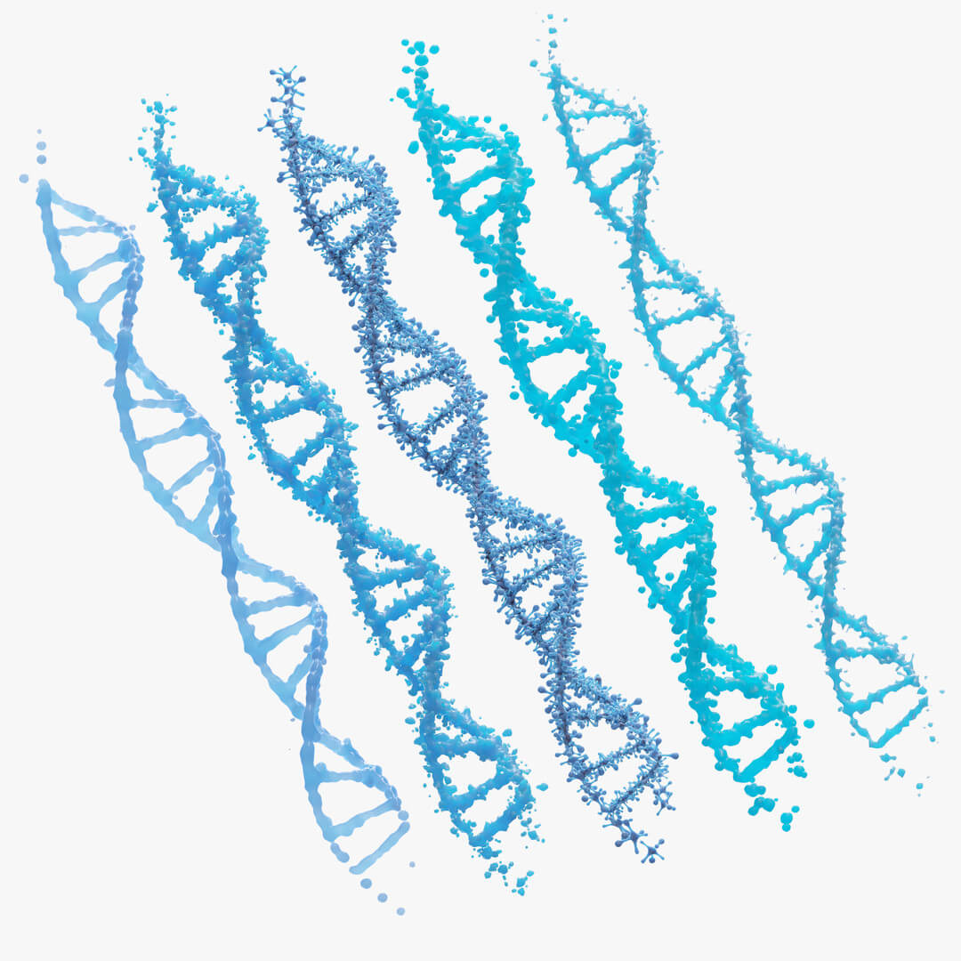 DNA Genetic Molecule - 3D Model by zames1992d