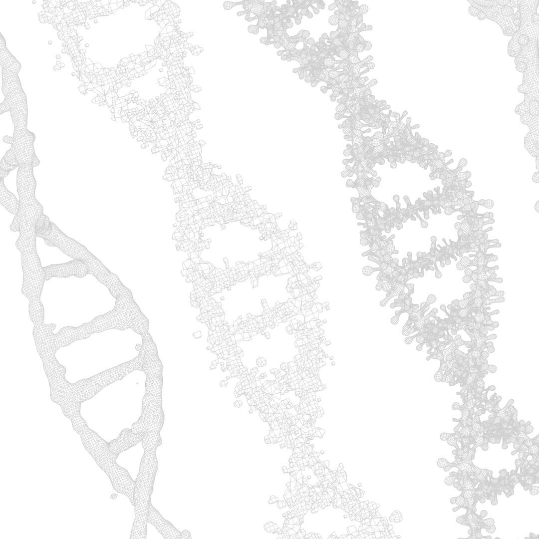 DNA Genetic Molecule - 3D Model by zames1992d
