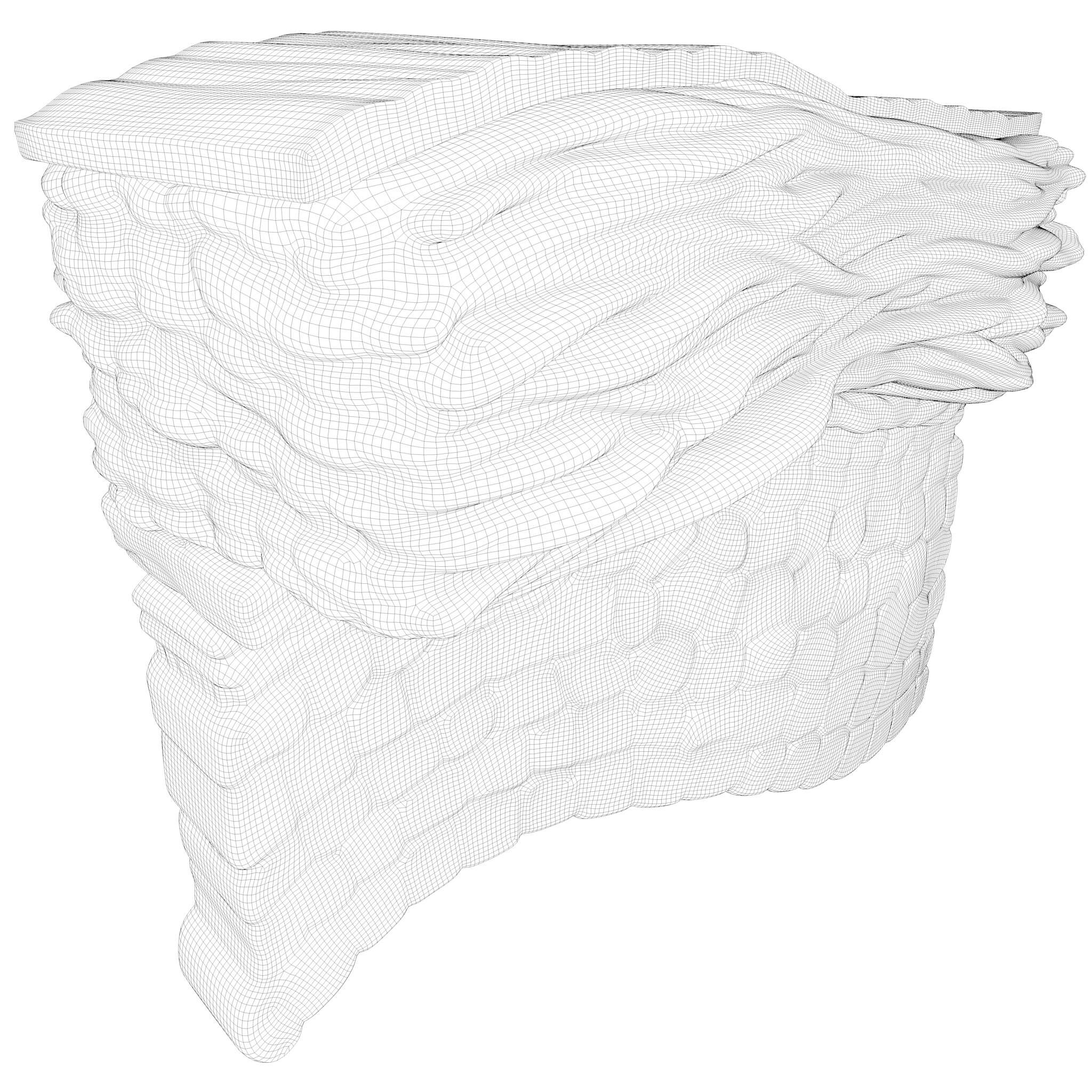 Epidermis Cross Section - 3D Model by zames1992d