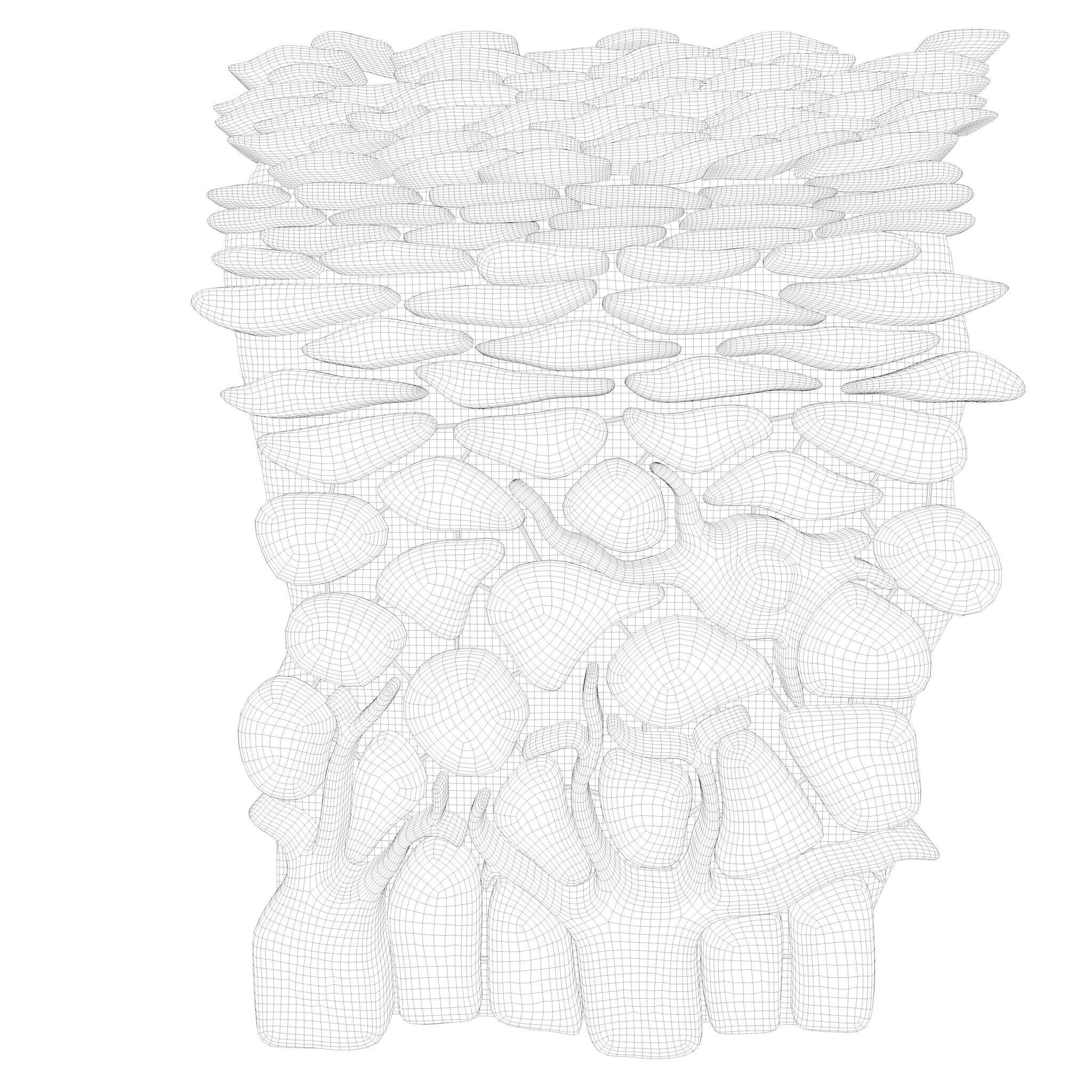 Epidermis Cross Section - 3D Model by zames1992d