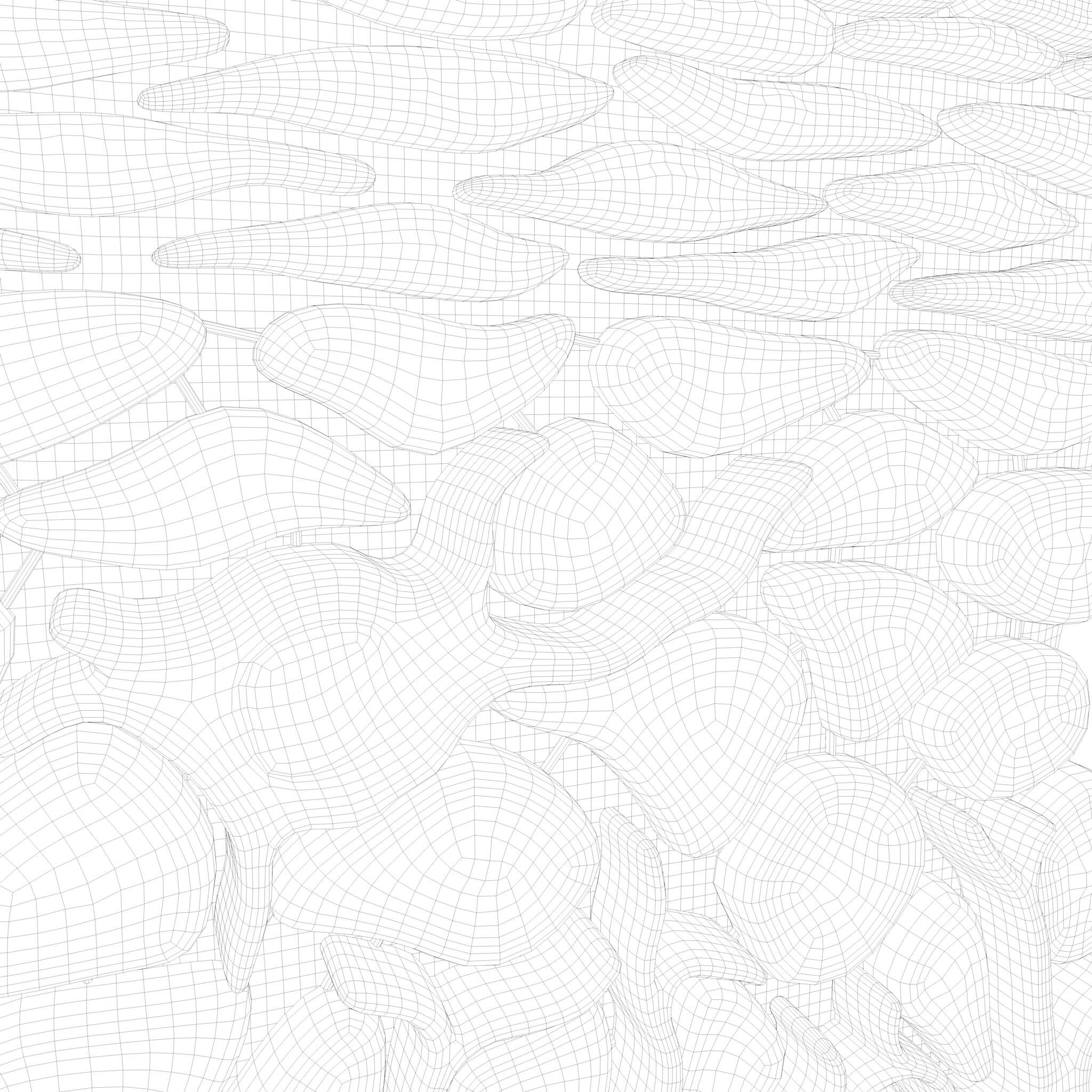 Epidermis Cross Section - 3D Model by zames1992d