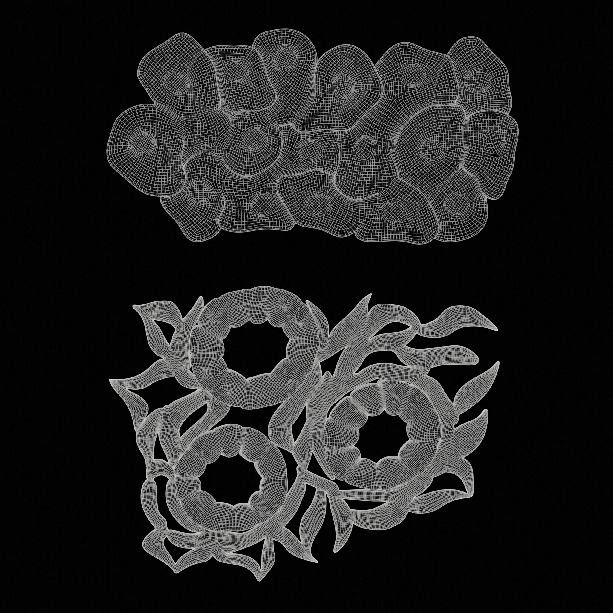 Epithelial Tissues - 3D Model by zames1992d