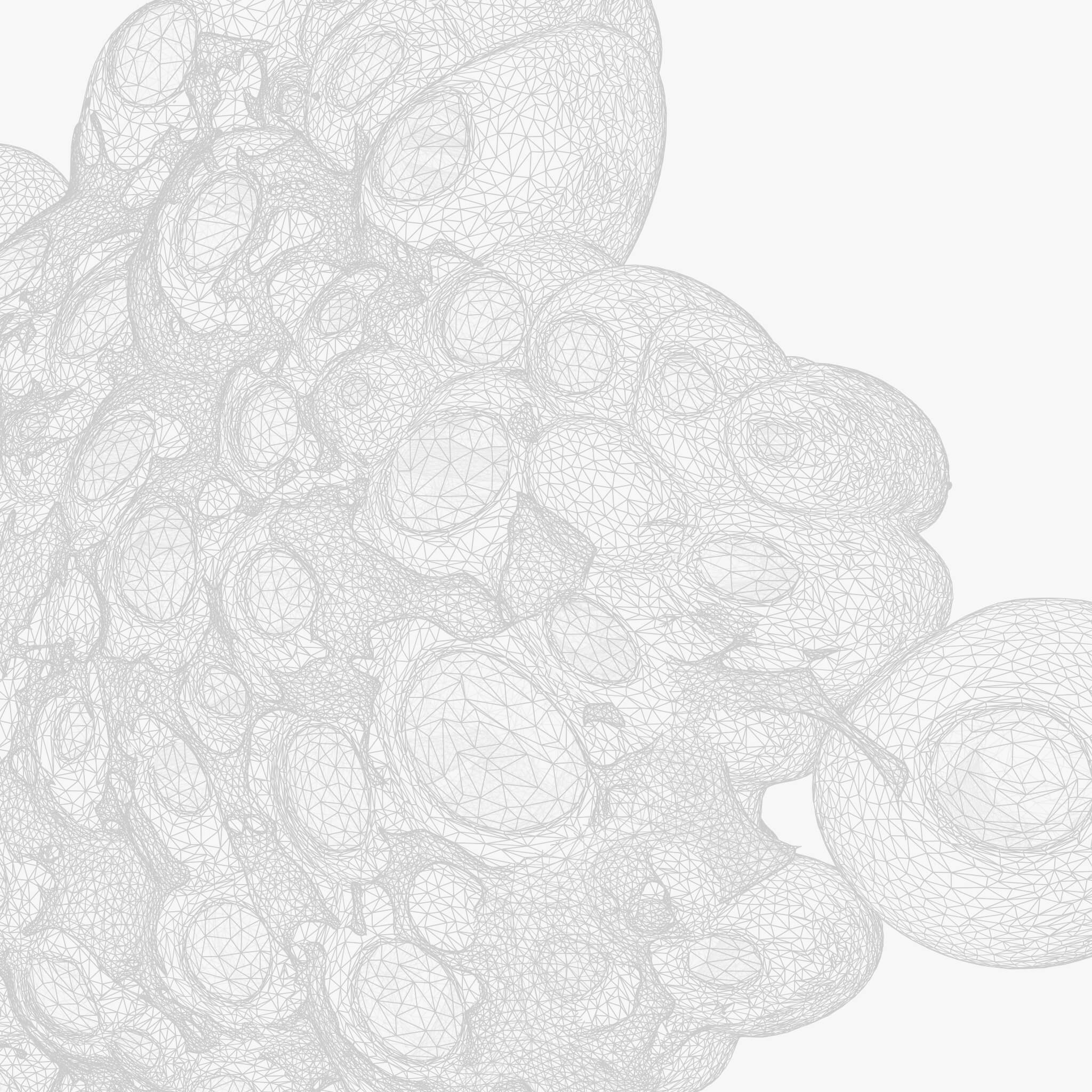 Fat Cell Anatomy - 3D Model by zames1992d