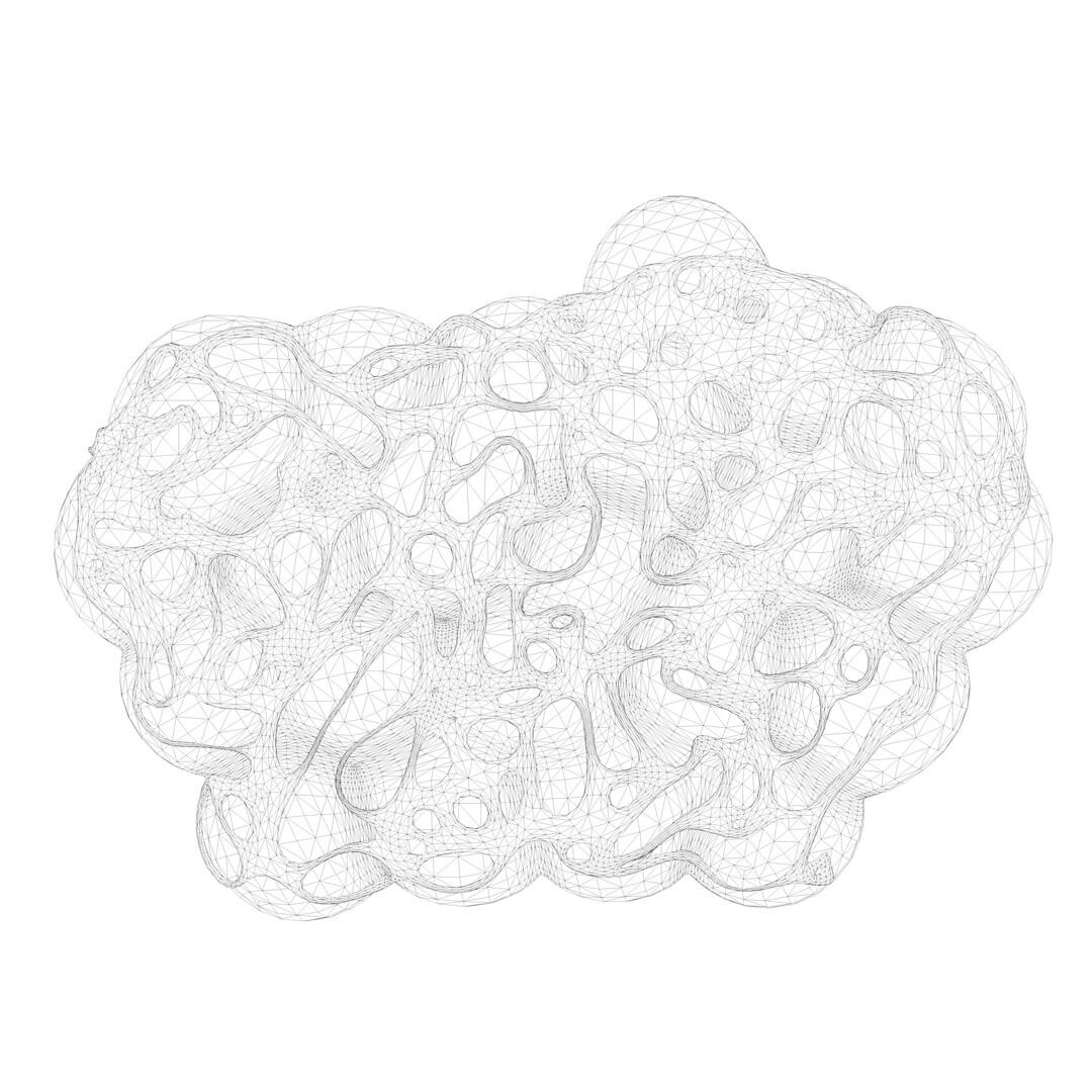 Fat Cell Anatomy - 3D Model by zames1992d