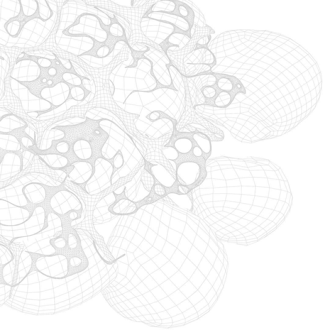 Fat Cell Anatomy - 3D Model by zames1992d