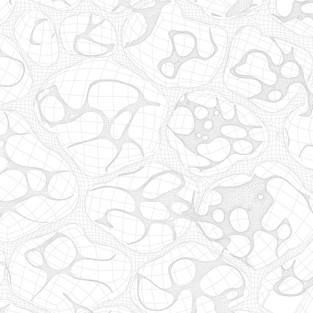 Fat Cell Anatomy - 3D Model by zames1992d