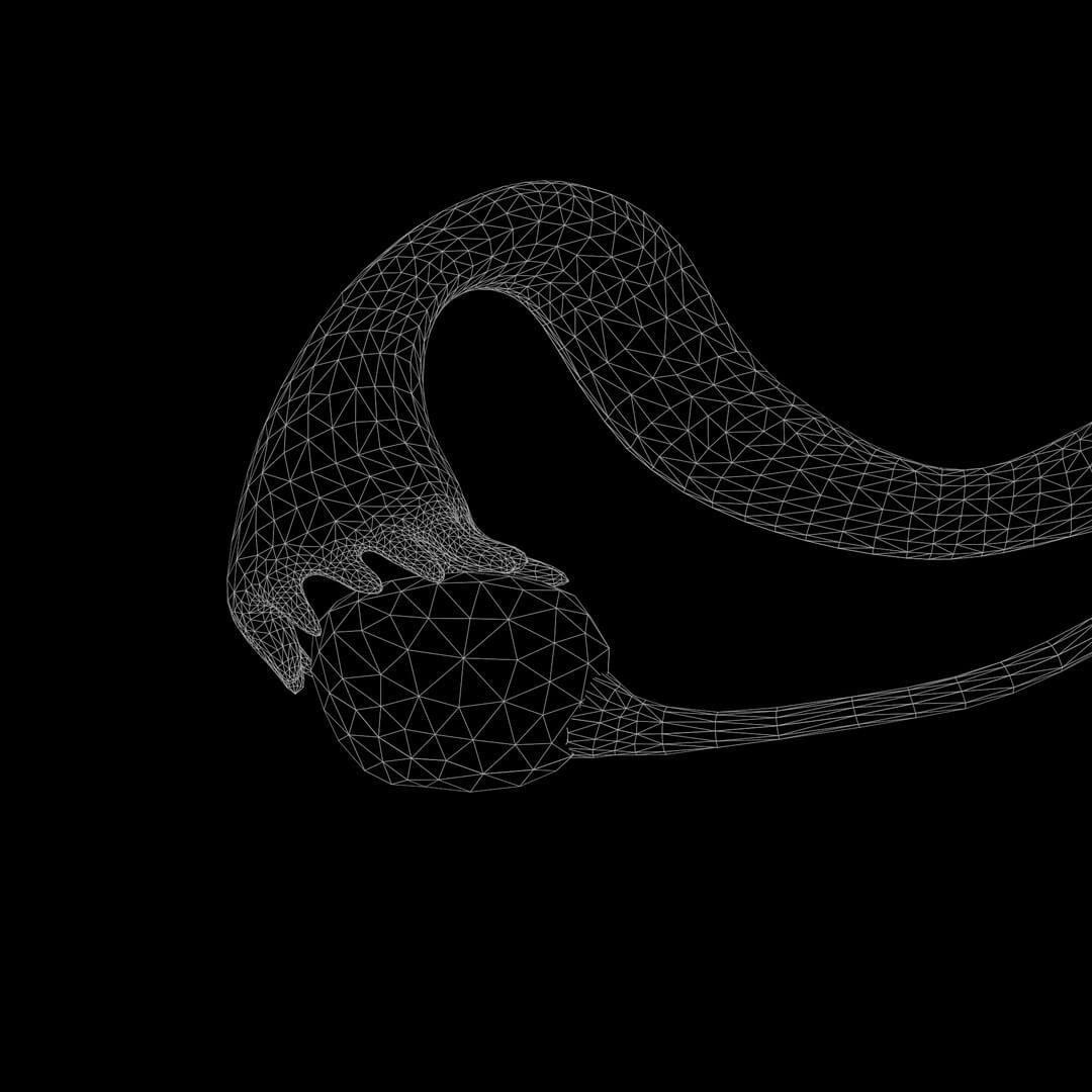 Female Reproductive System - 3D Model by zames1992d