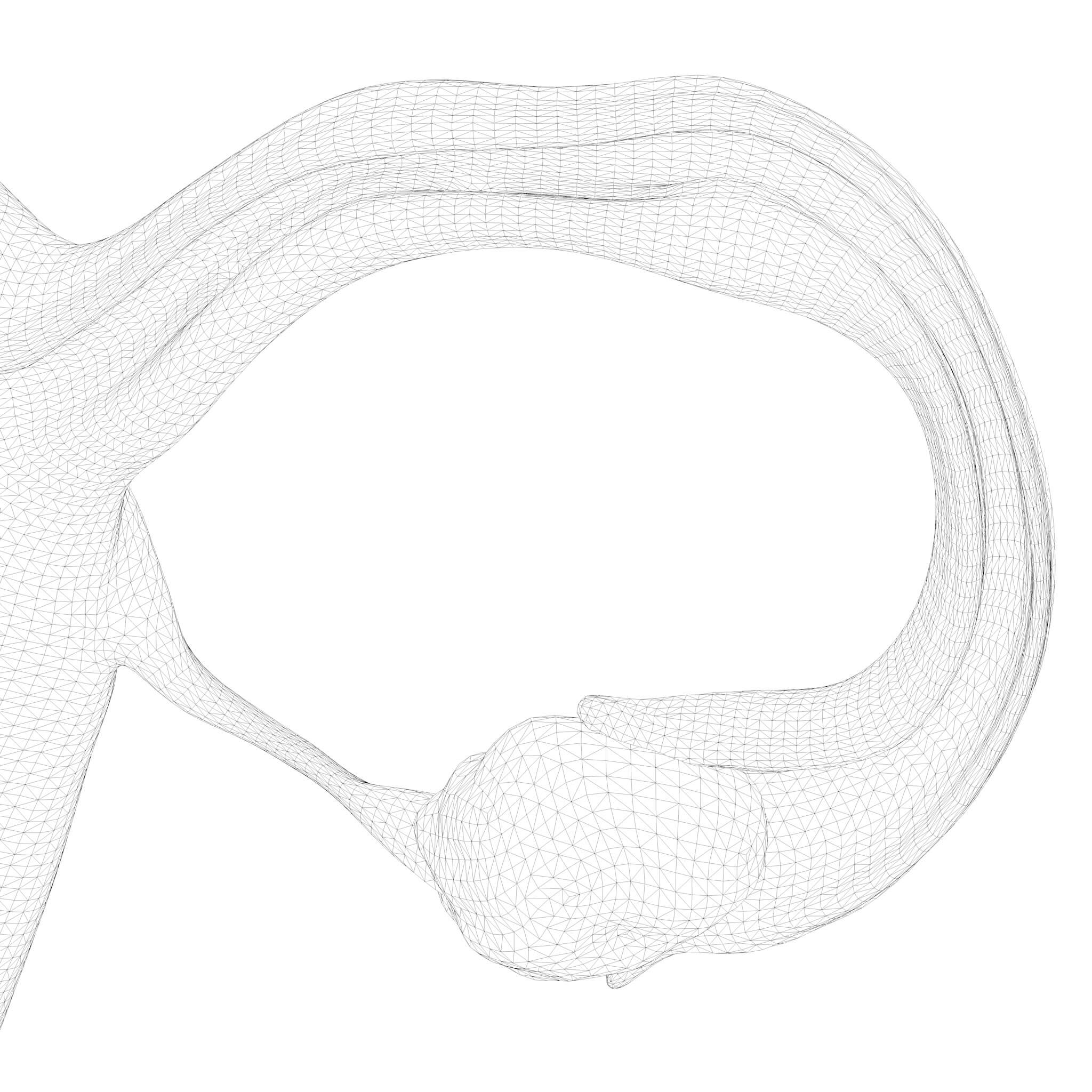 Female Reproductive System - 3D Model by zames1992d