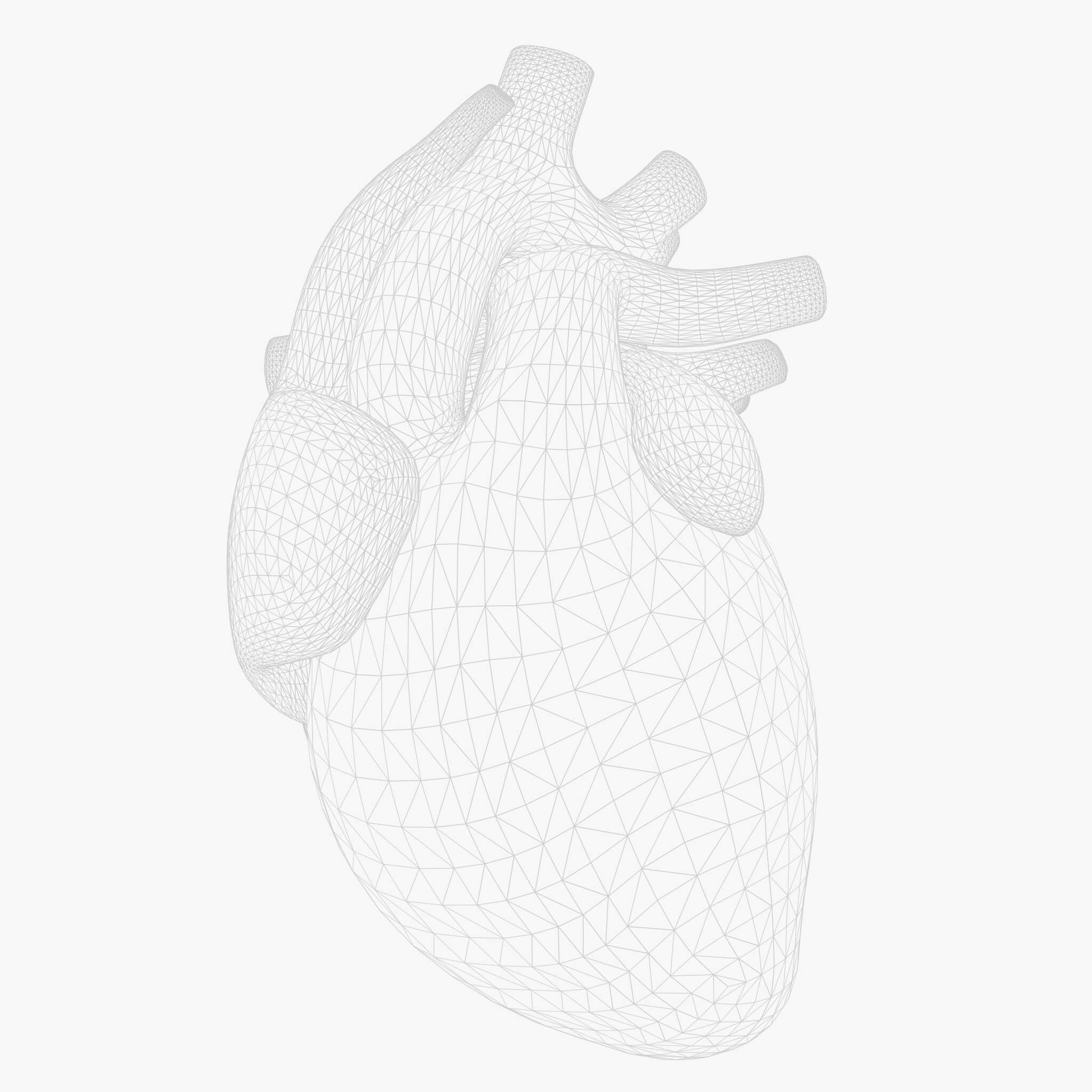 Human Heart Anatomy Animation - 3D Model by zames1992d