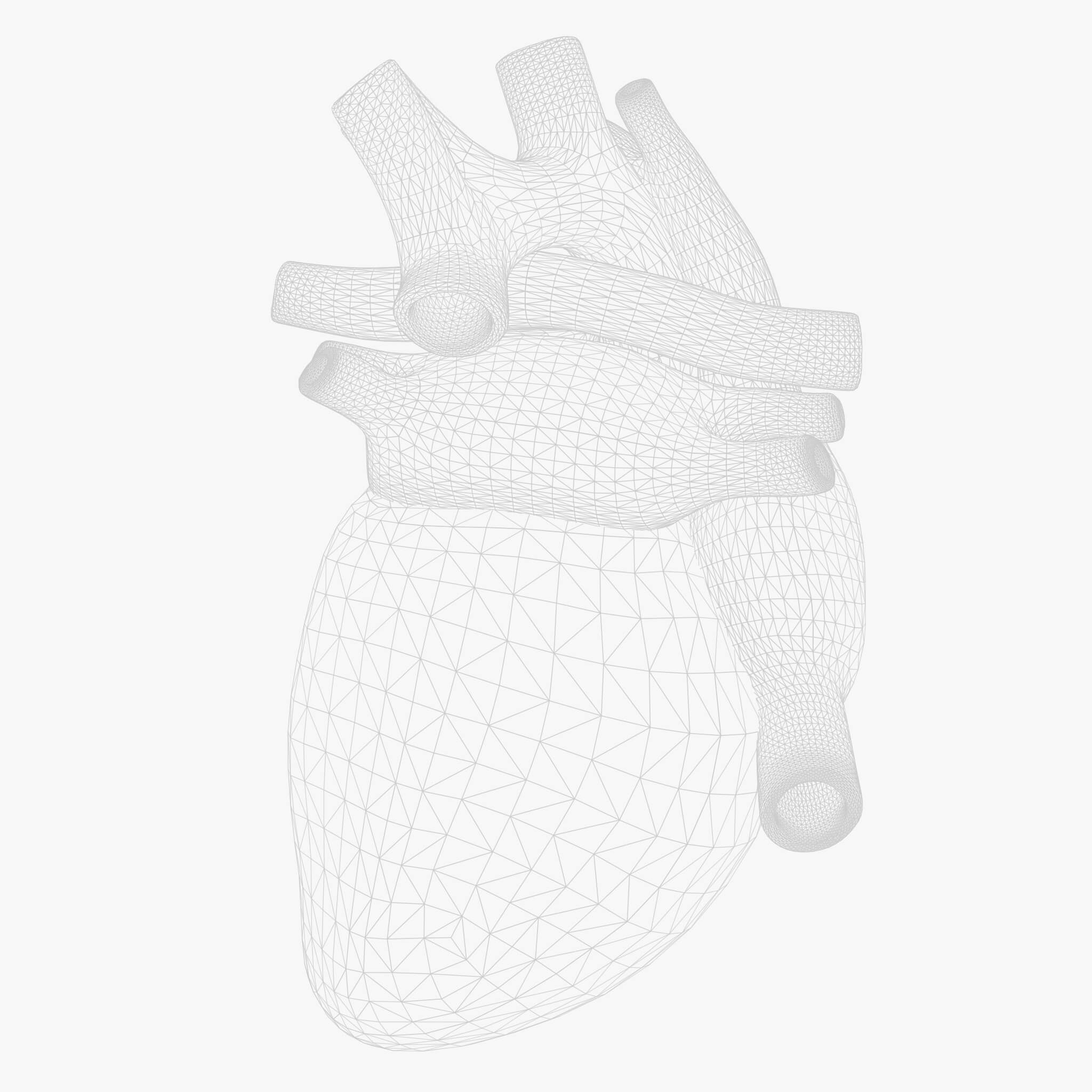 Human Heart Anatomy Animation - 3D Model by zames1992d