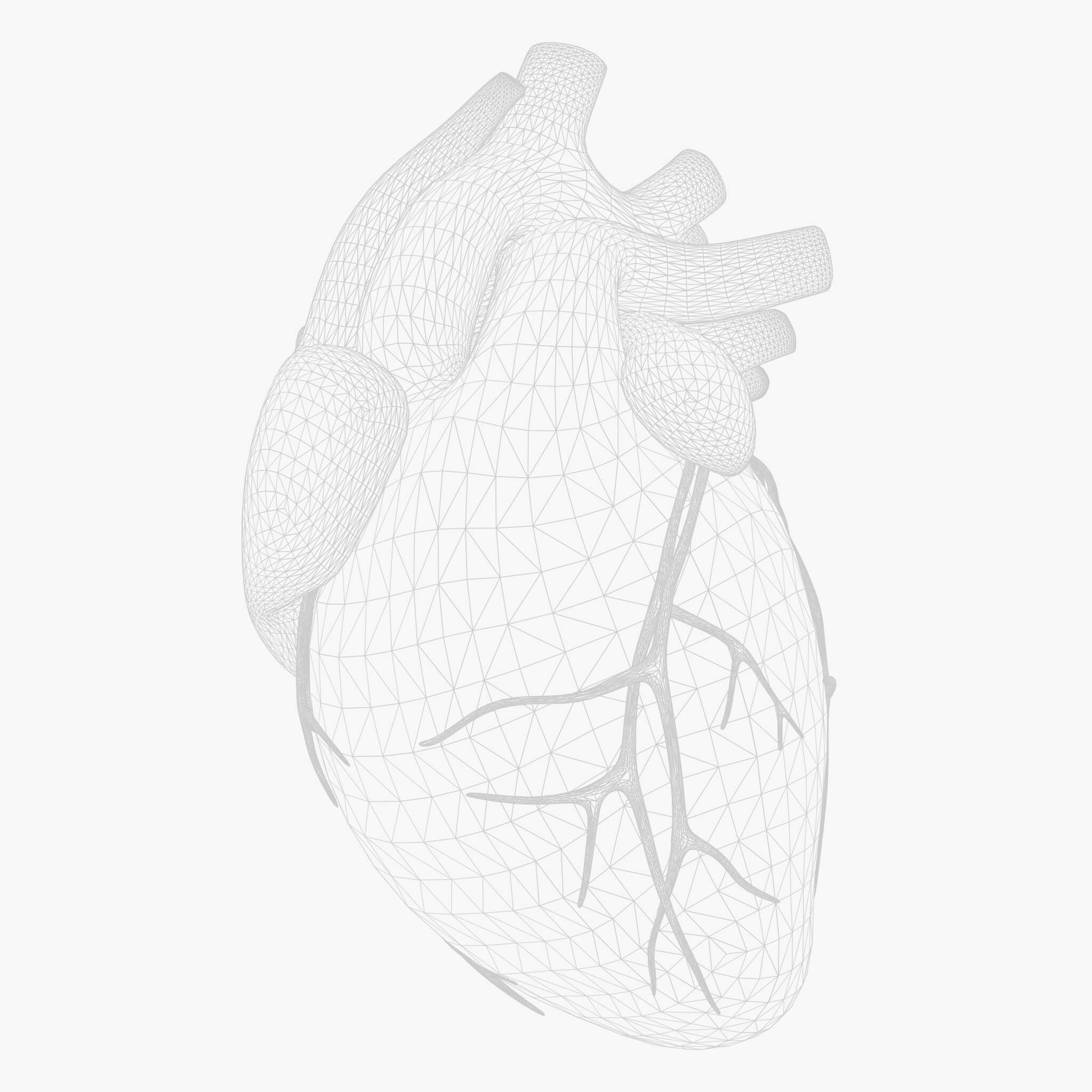 Human Heart Anatomy Animation - 3D Model by zames1992d