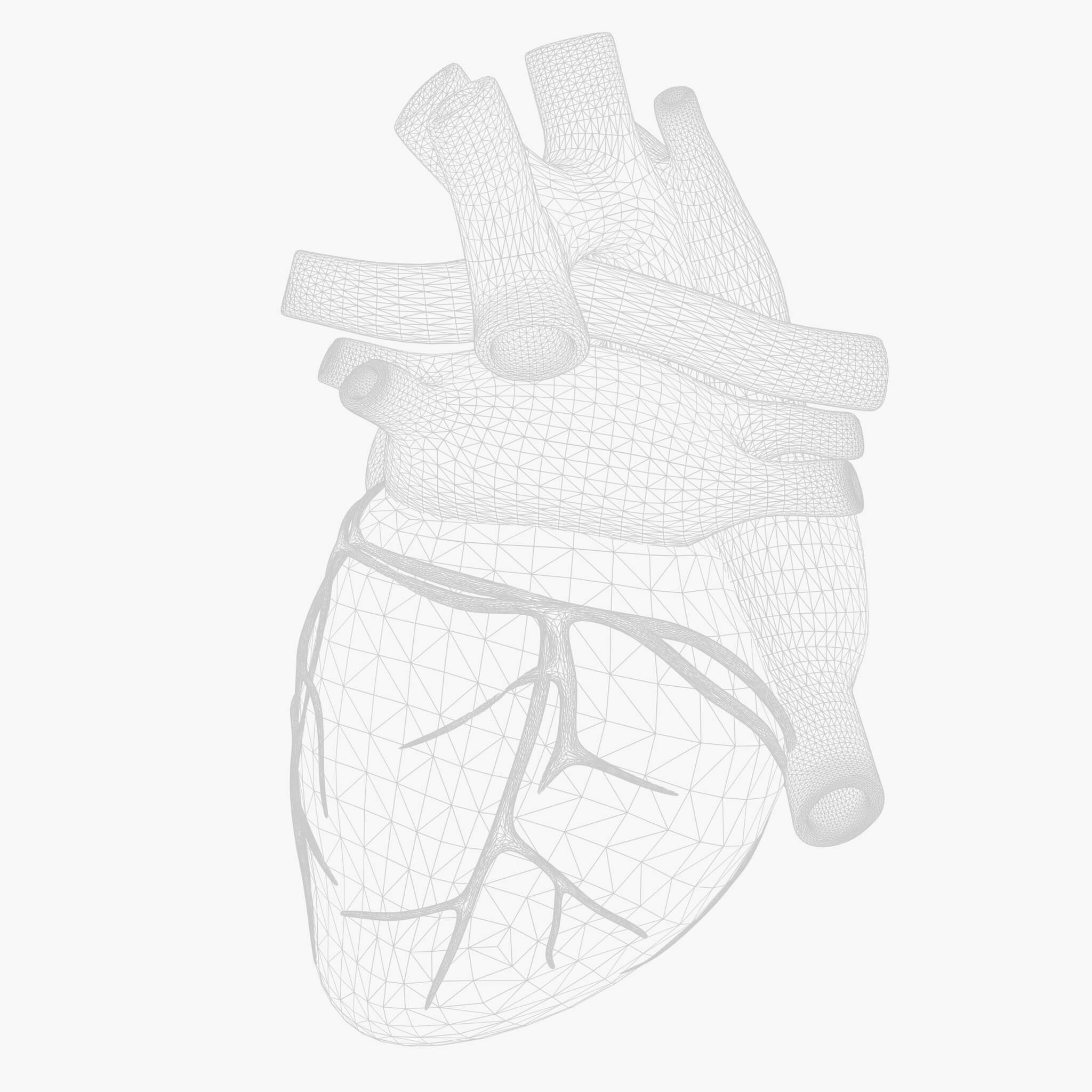 Human Heart Anatomy Animation - 3D Model by zames1992d