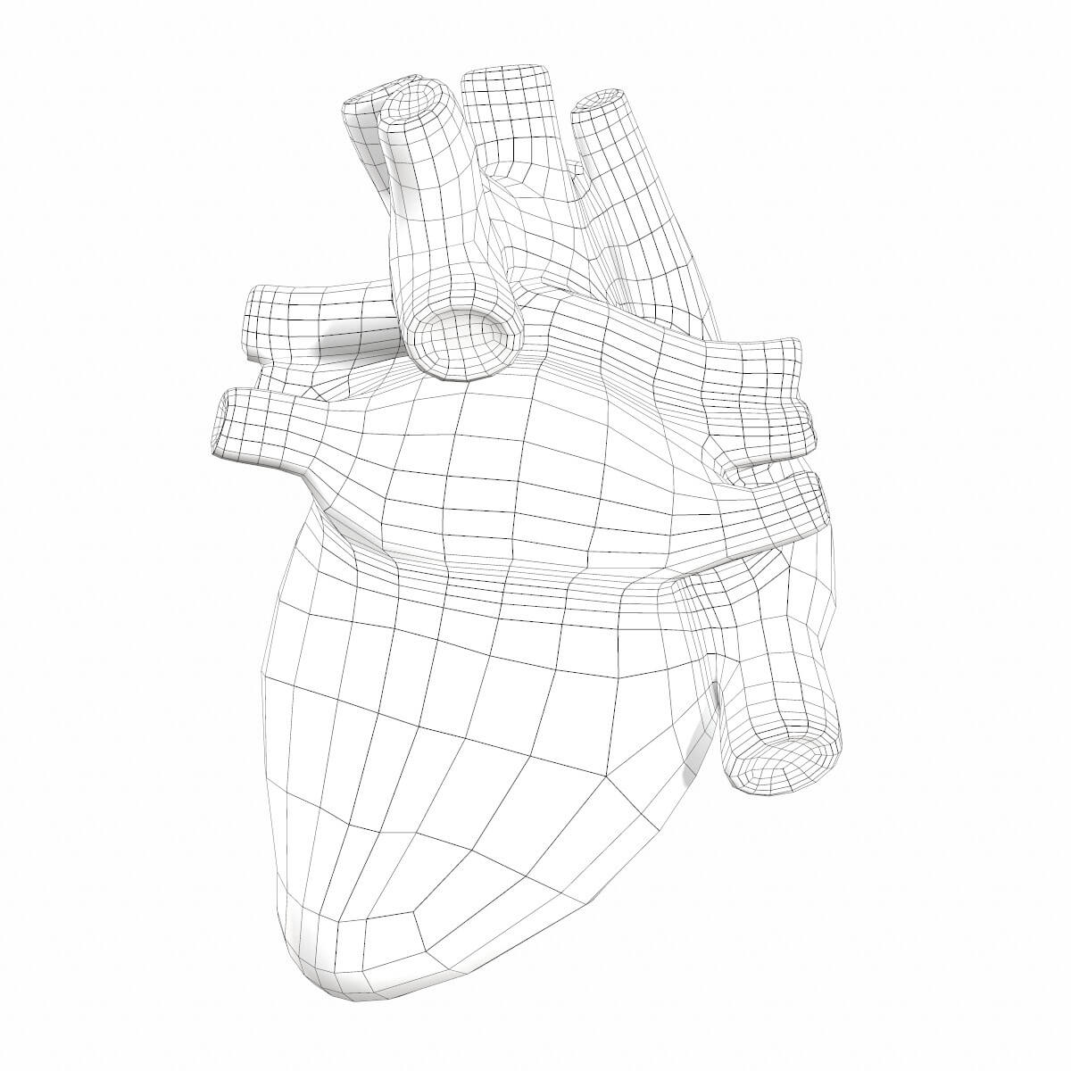 Human Heart Anatomy - 3D Model by zames1992d