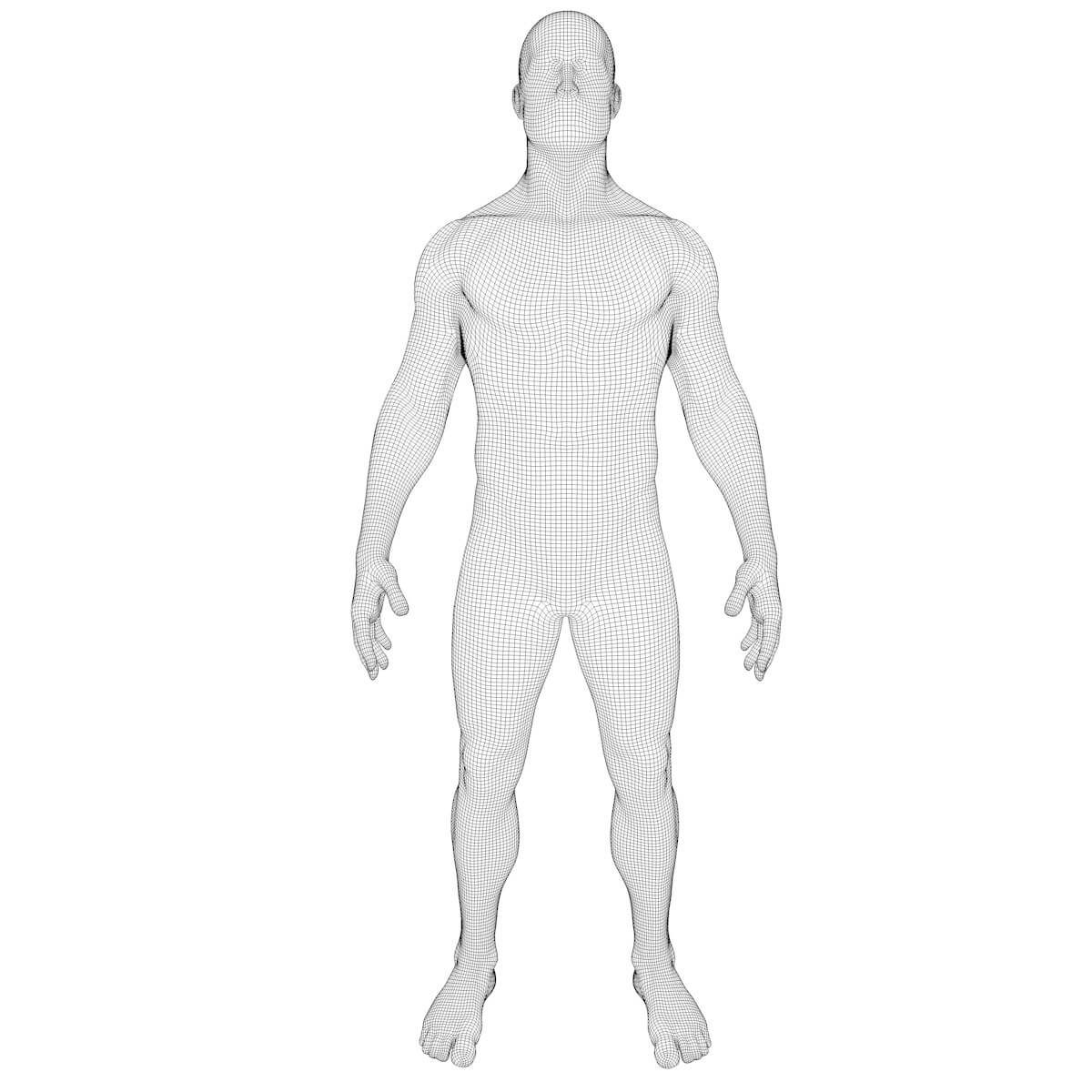 Human Lungs Anatomy Body Respiratory System - 3D Model by zames1992d