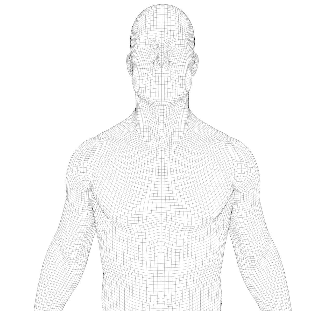 Human Lungs Anatomy Body Respiratory System - 3D Model by zames1992d