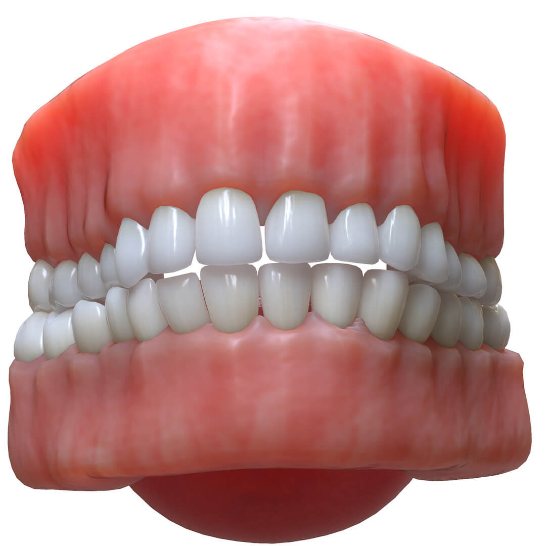 Human Mouth Teeth Tongue - 3D Model by zames1992d