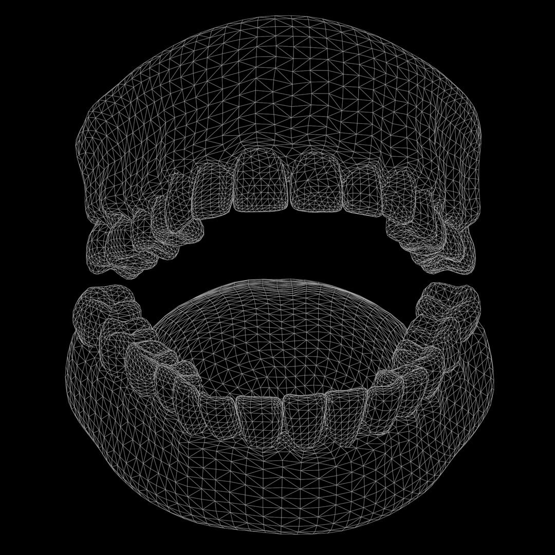 Human Mouth Teeth Tongue - 3D Model by zames1992d