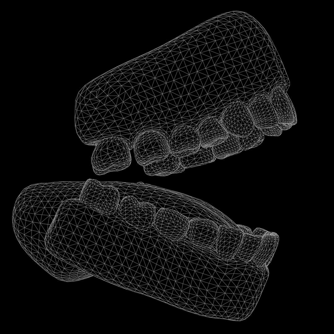 Human Mouth Teeth Tongue - 3D Model by zames1992d