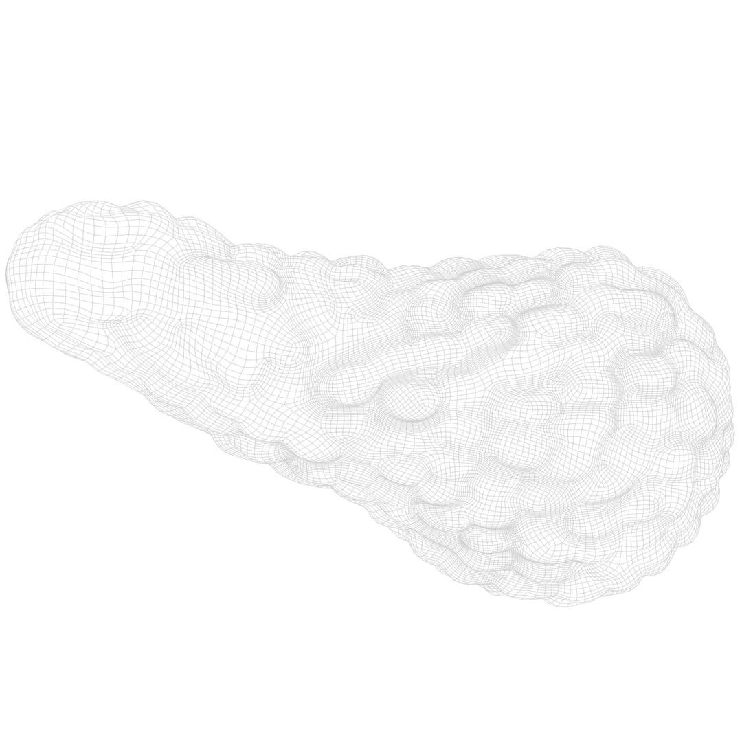 Human Pancreas Anatomy - 3D Model by zames1992d