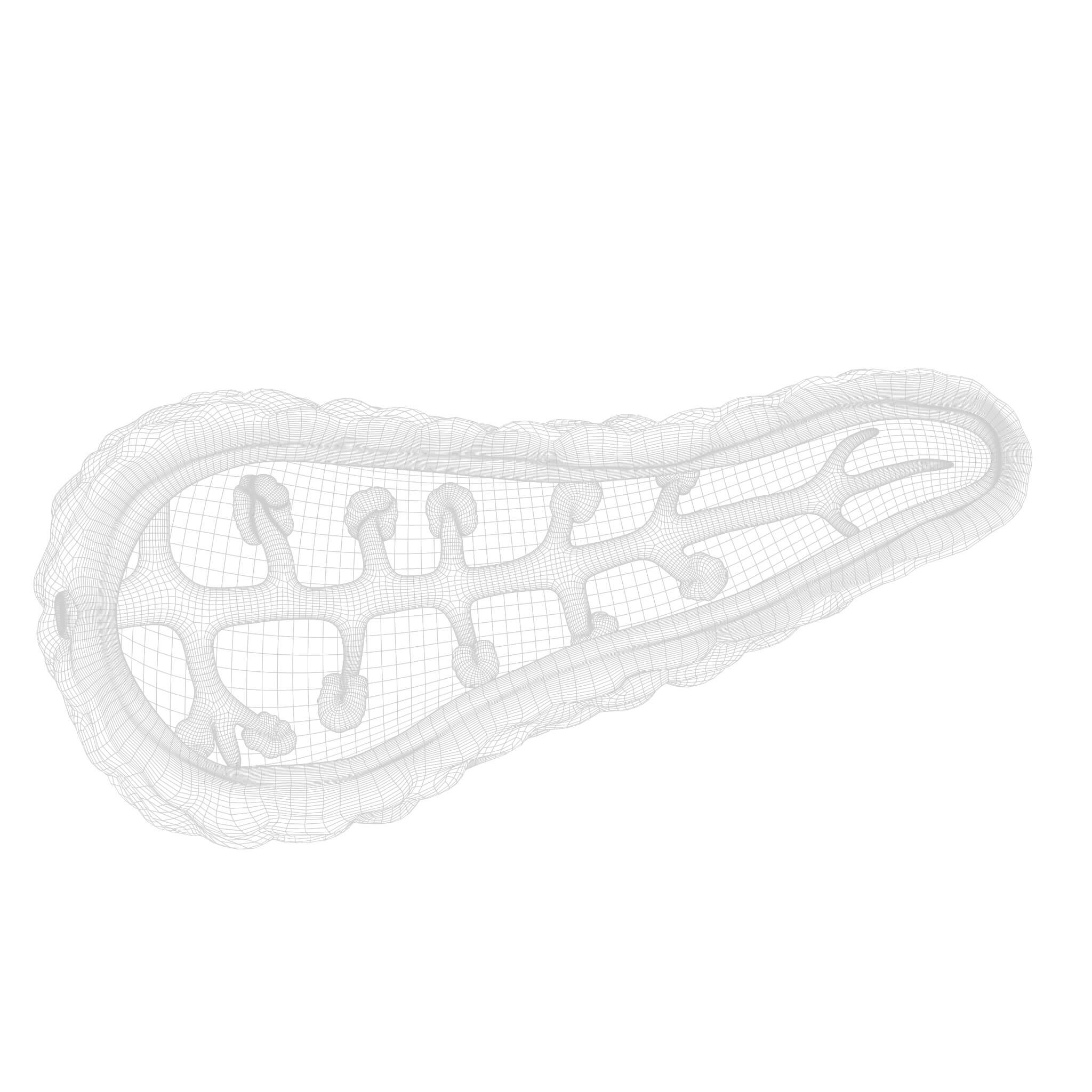 Human Pancreas Anatomy - 3D Model by zames1992d