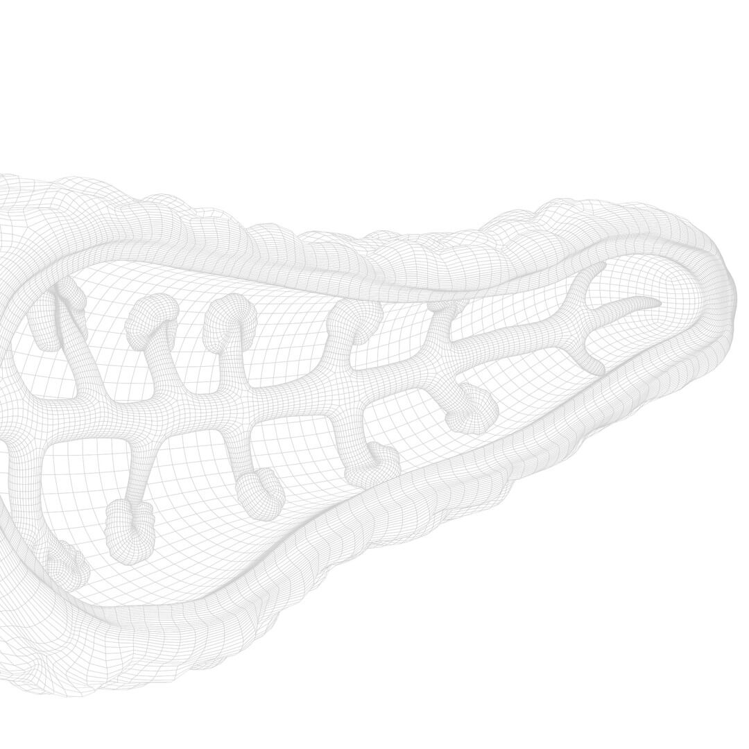 Human Pancreas Anatomy - 3D Model by zames1992d