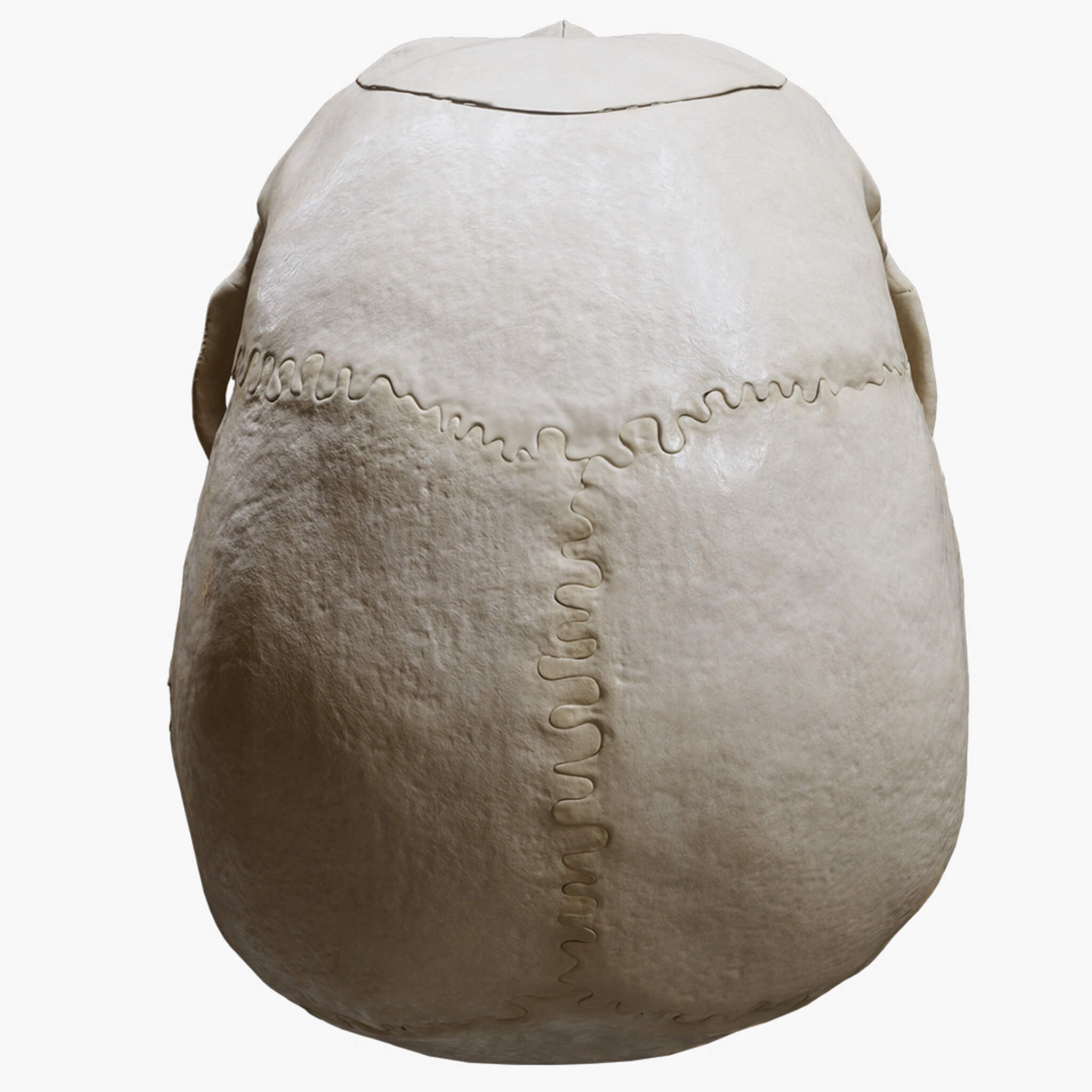 Human Skull Explode Anatomy Atlas - 3D Model by zames1992d