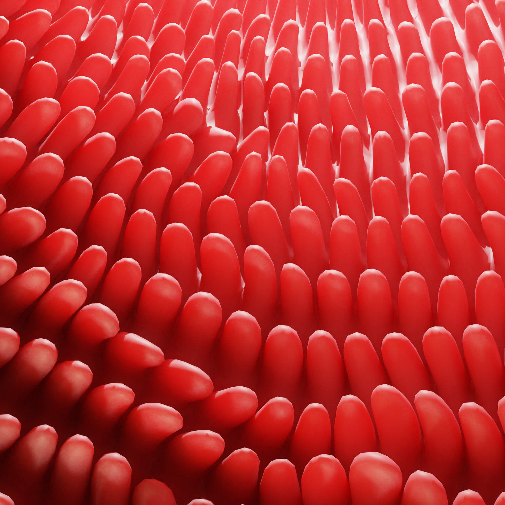 Intestinal Villi Animation - 3D Model by zames1992d