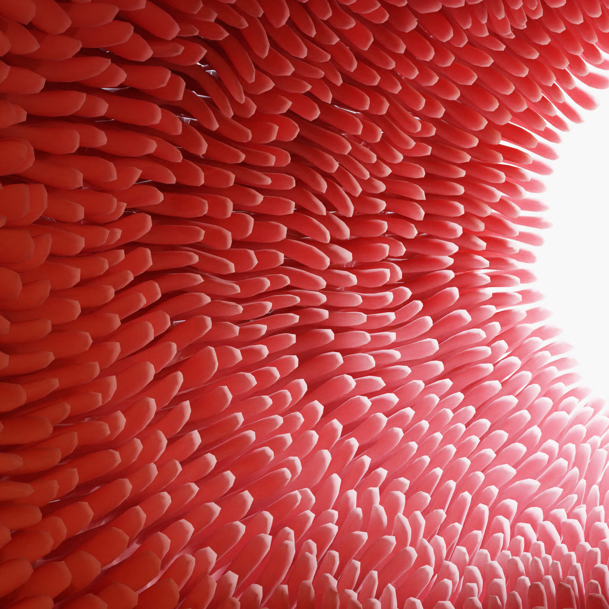 Intestinal Villi Animation - 3D Model by zames1992d