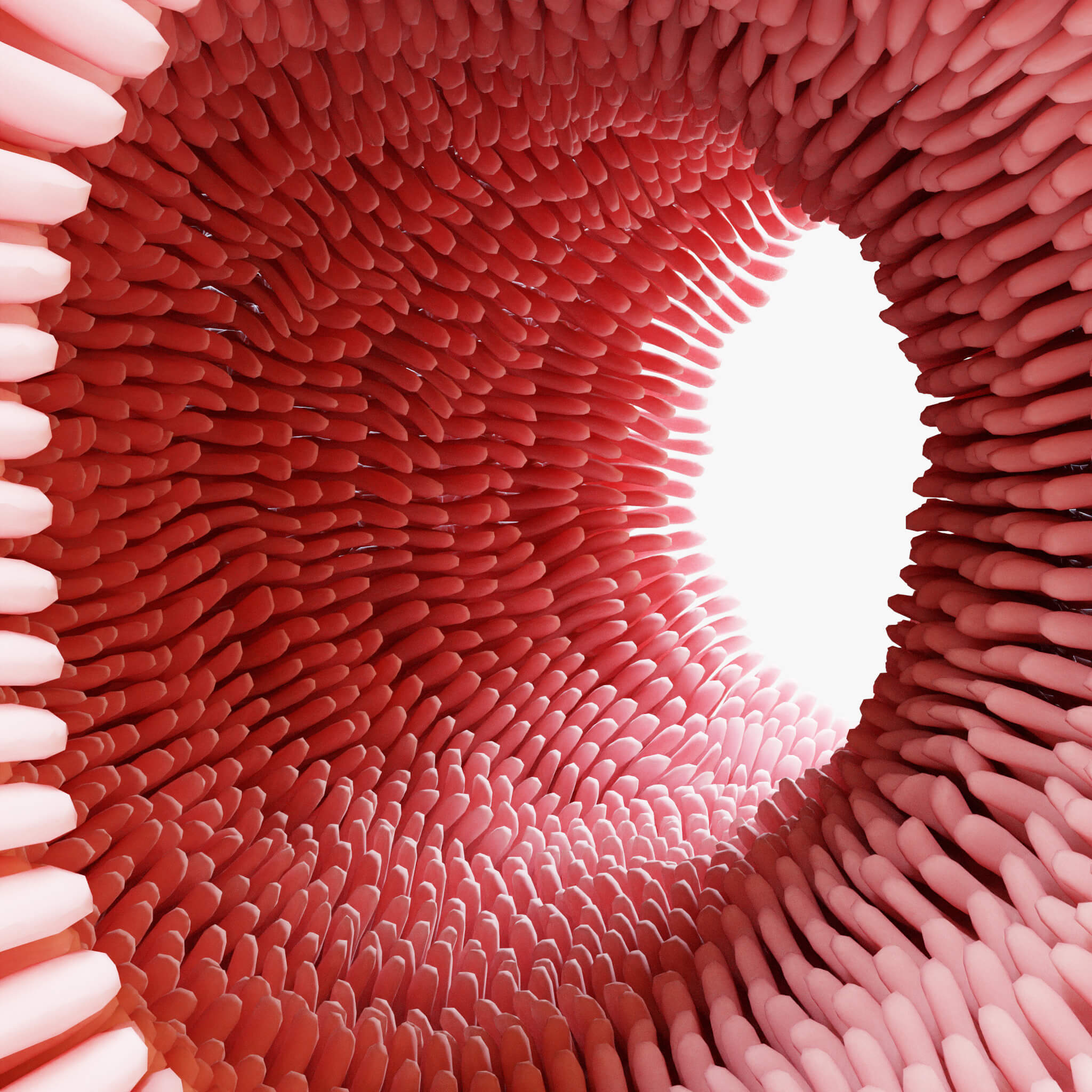 Intestinal Villi Animation - 3D Model by zames1992d