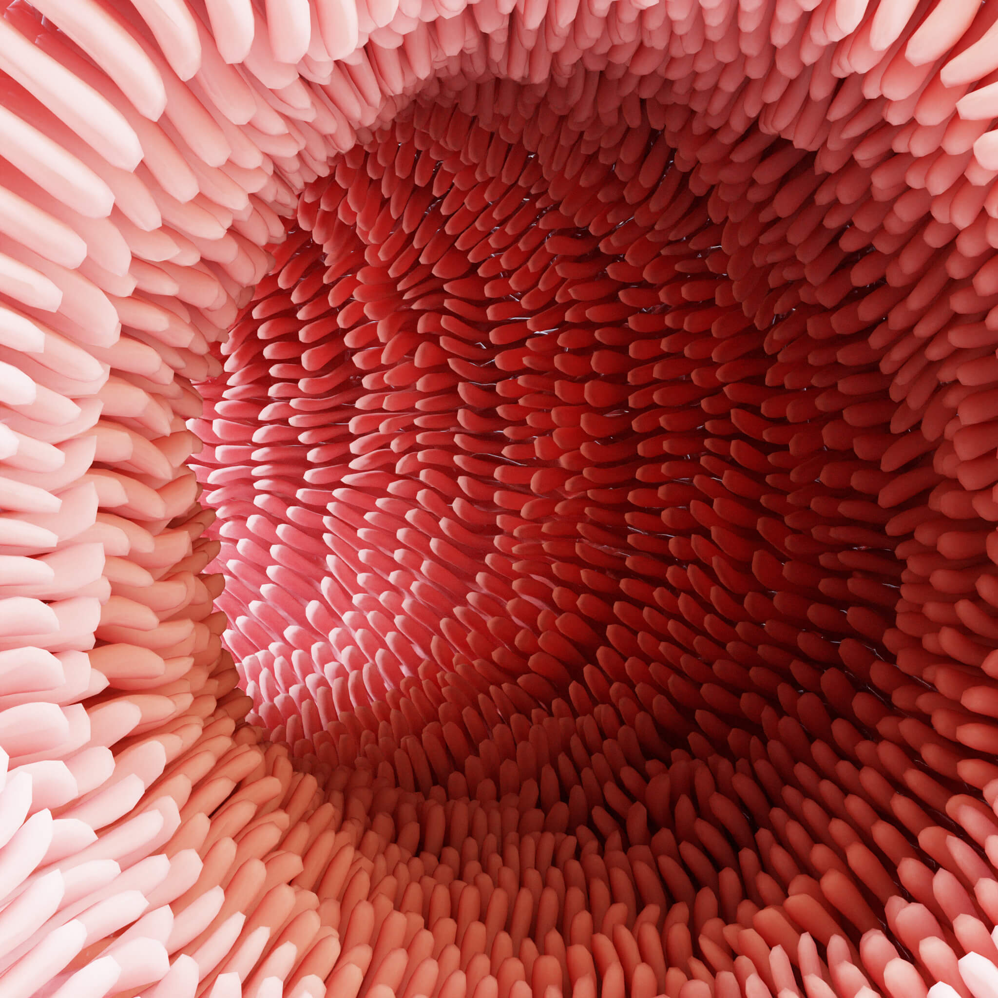 Intestinal Villi Animation - 3D Model by zames1992d