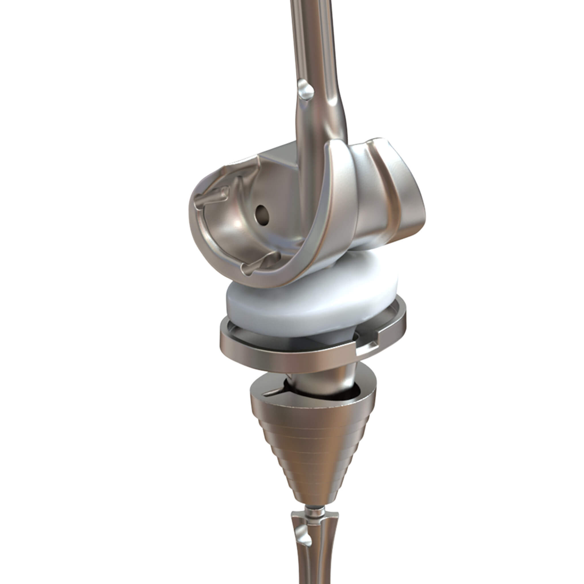 Knee Replacement Implant - 3D Model by zames1992d