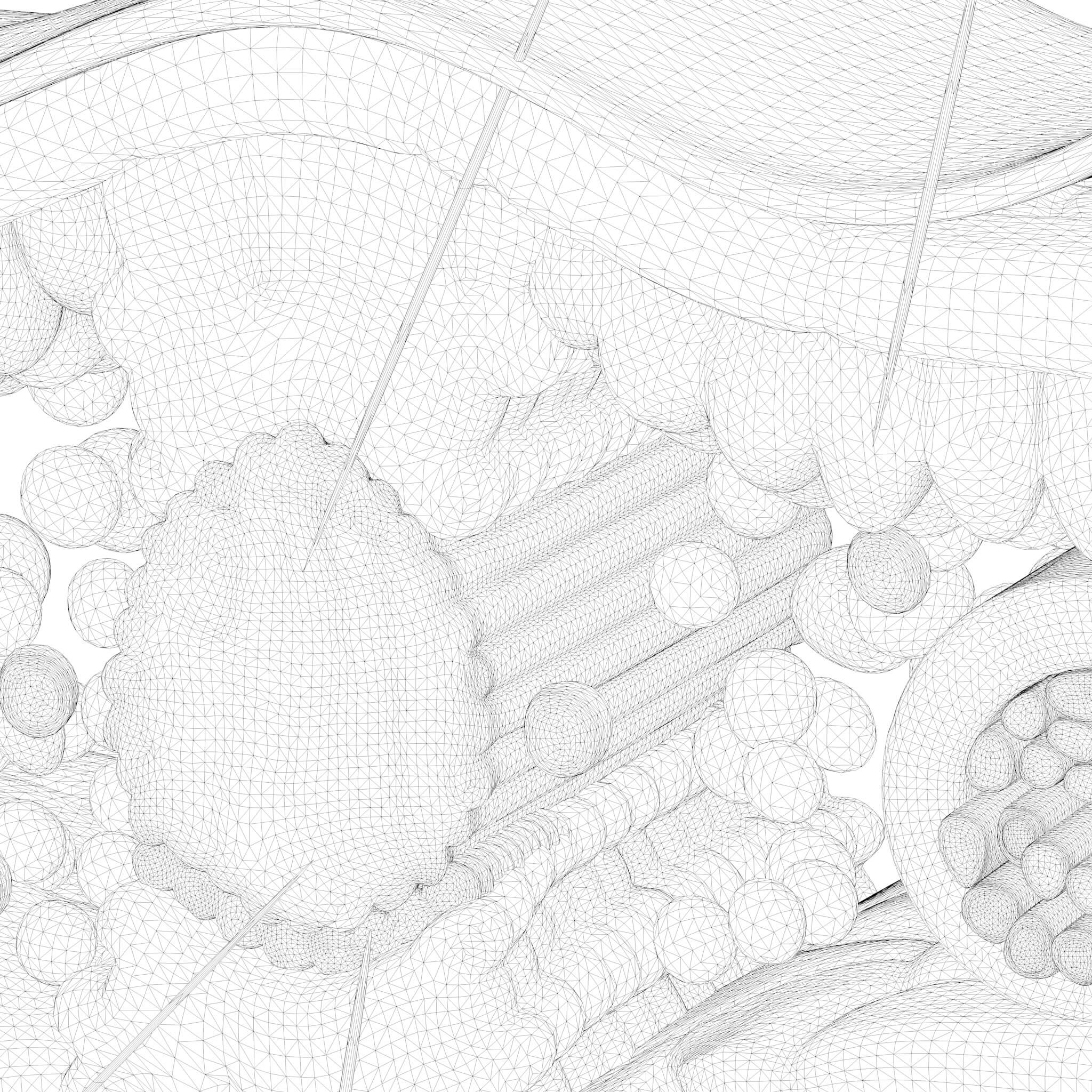 Leaf Anatomy Layers Structure - 3D Model by zames1992d