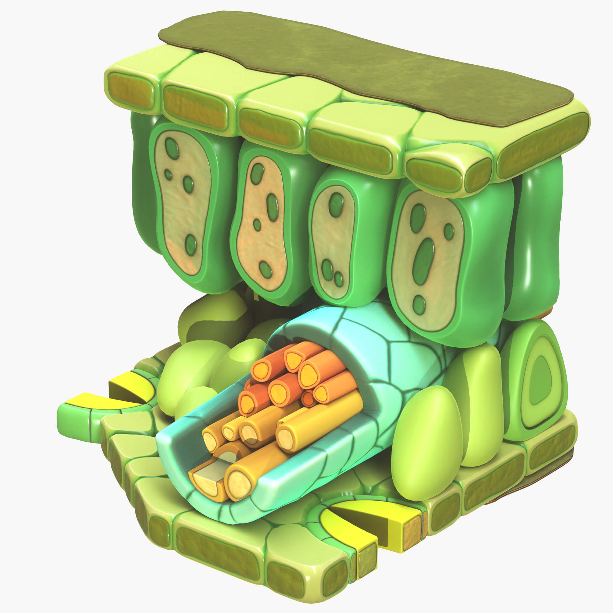 Leaf Anatomy Layers Structure - 3D Model by zames1992d