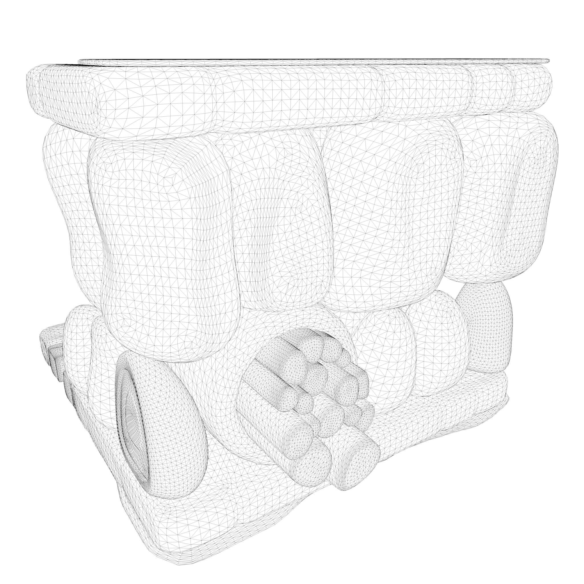 Leaf Anatomy Layers Structure - 3D Model by zames1992d