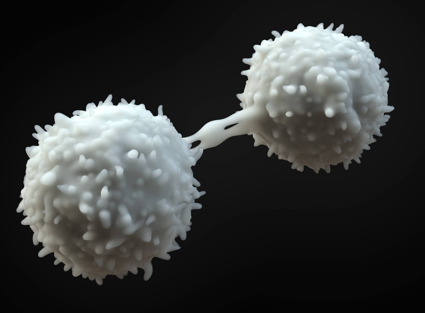 Lymphocytes Cell - 3D Model by zames1992d