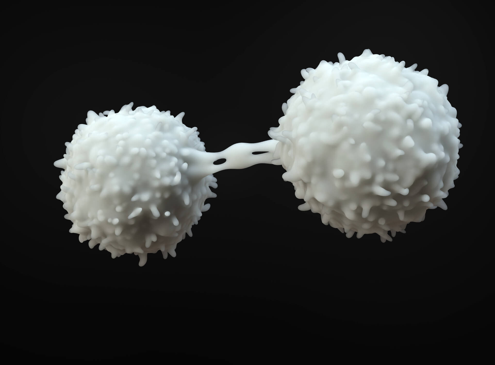 Lymphocytes Cell - 3D Model by zames1992d