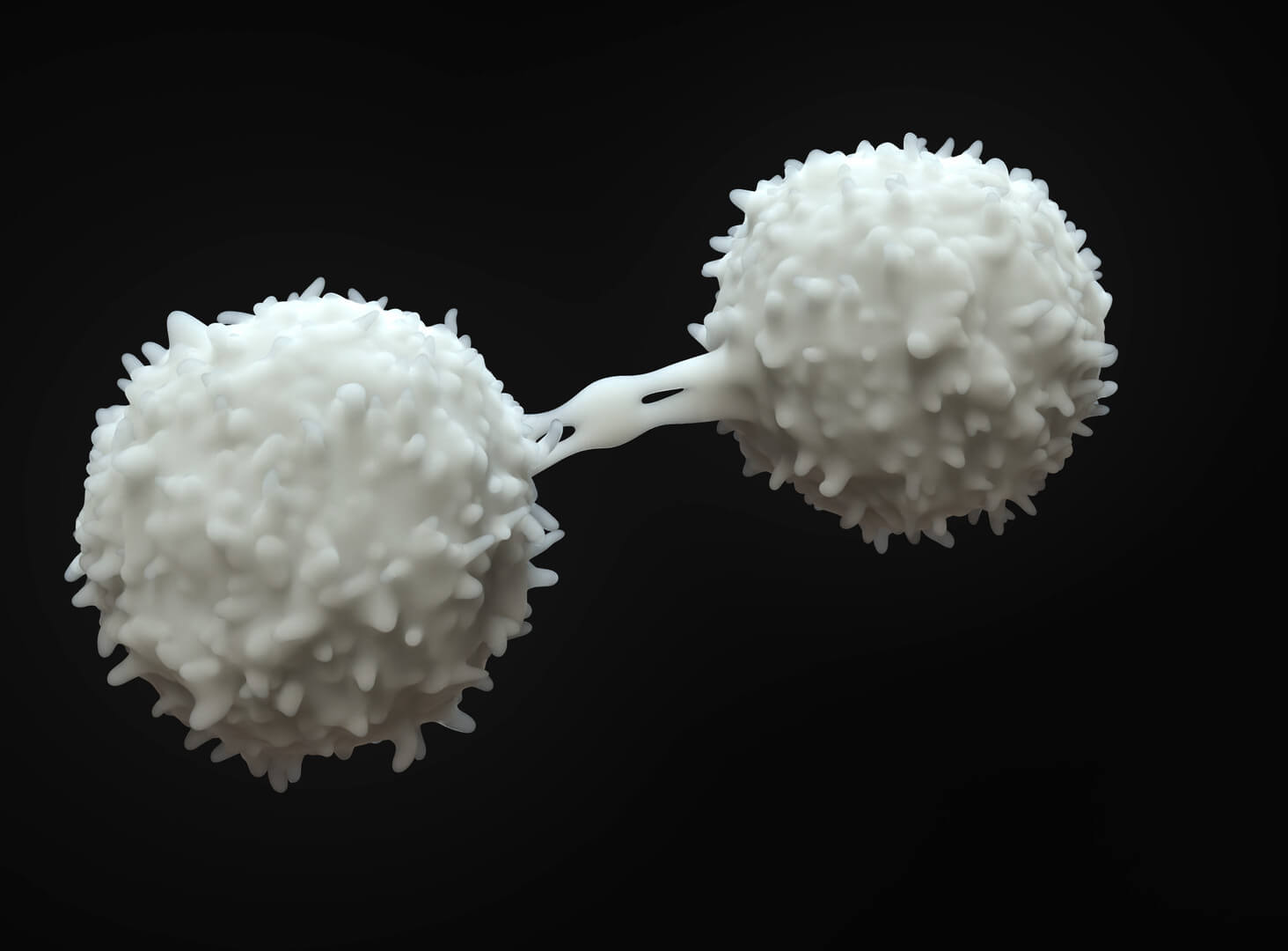 Lymphocytes Cell - 3D Model by zames1992d