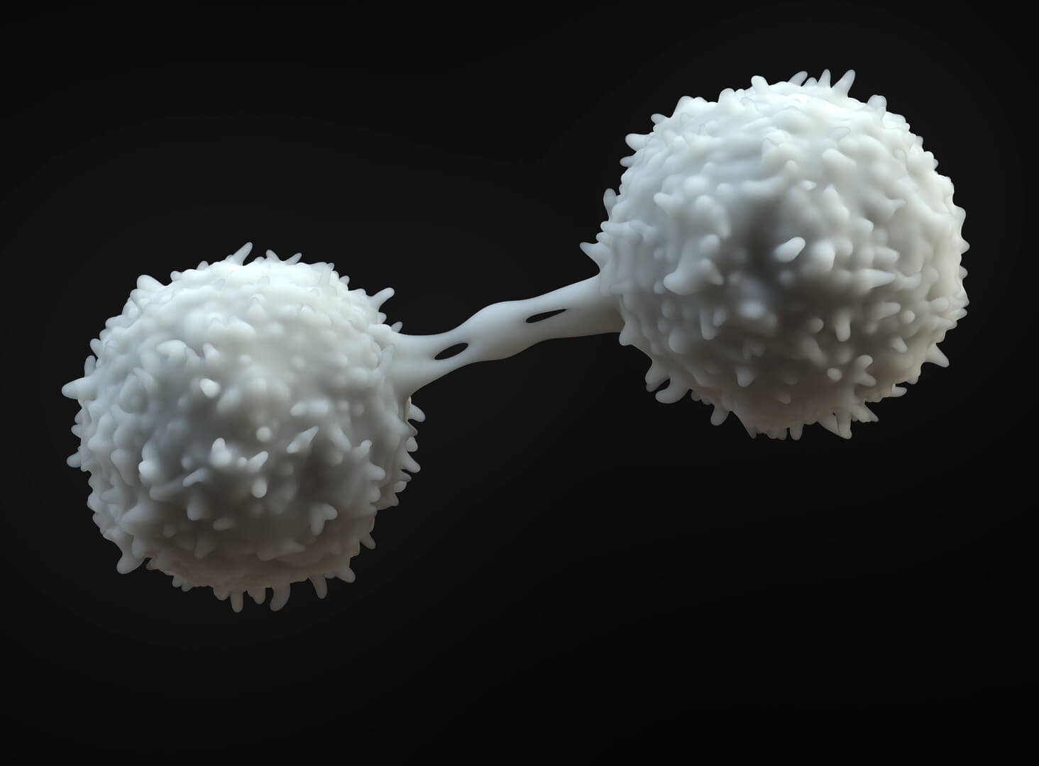 Lymphocytes Cell - 3D Model by zames1992d