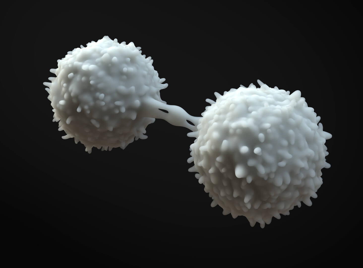 Lymphocytes Cell - 3D Model by zames1992d