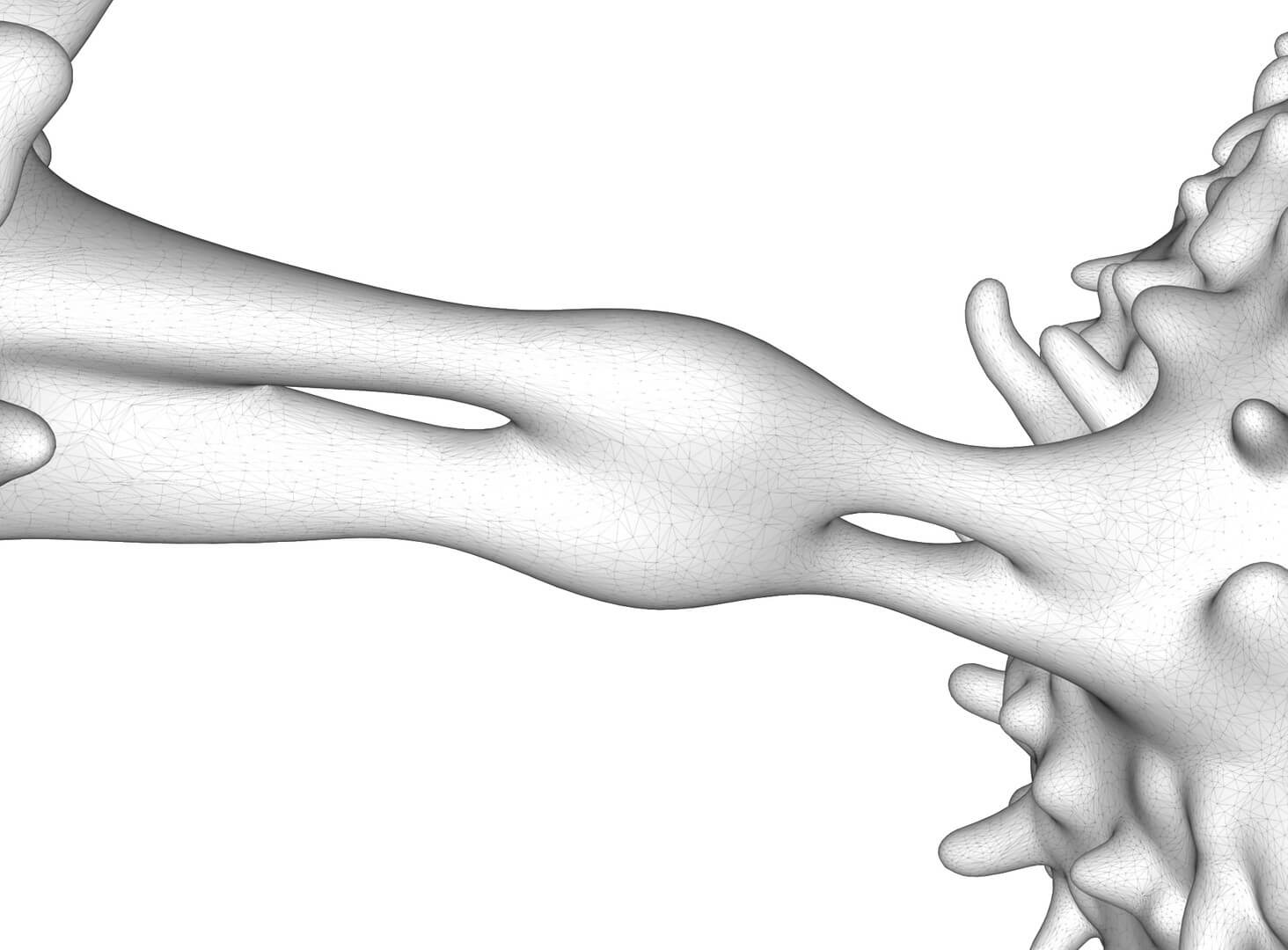 Lymphocytes Cell - 3D Model by zames1992d