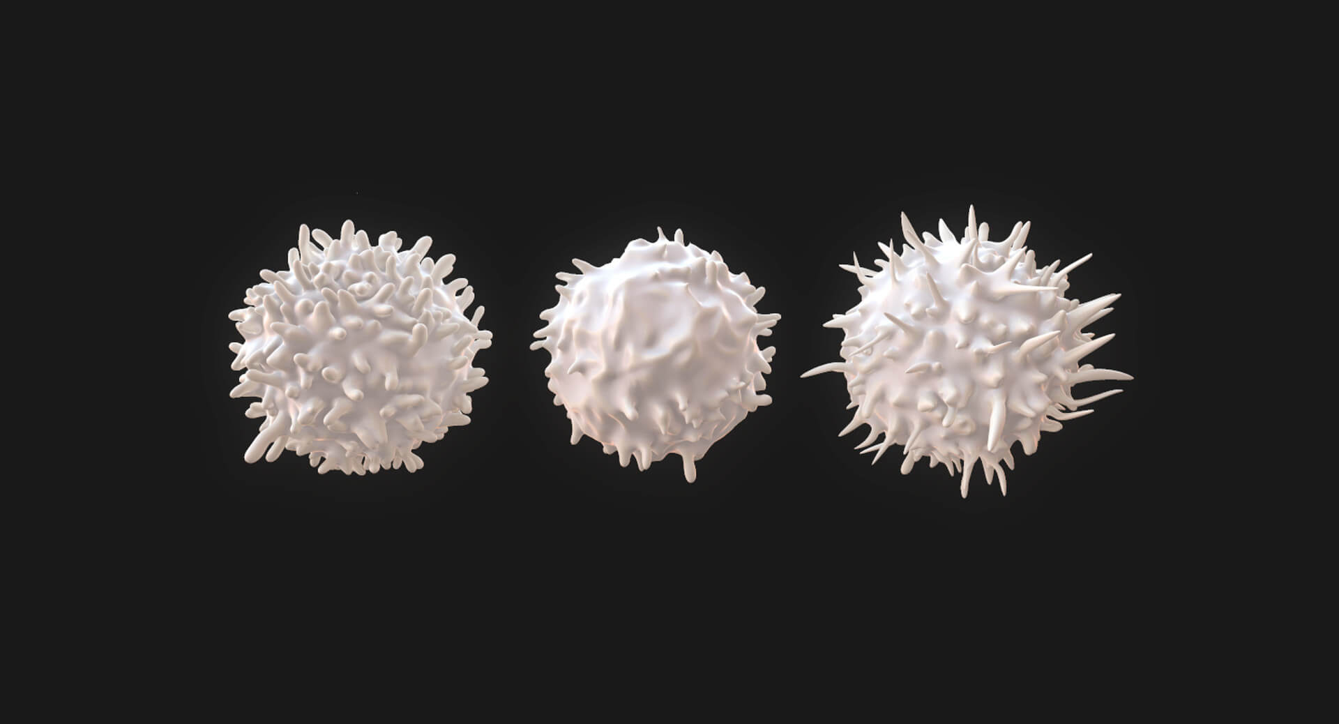 Lymphocytes Pack - 3D Model by zames1992d