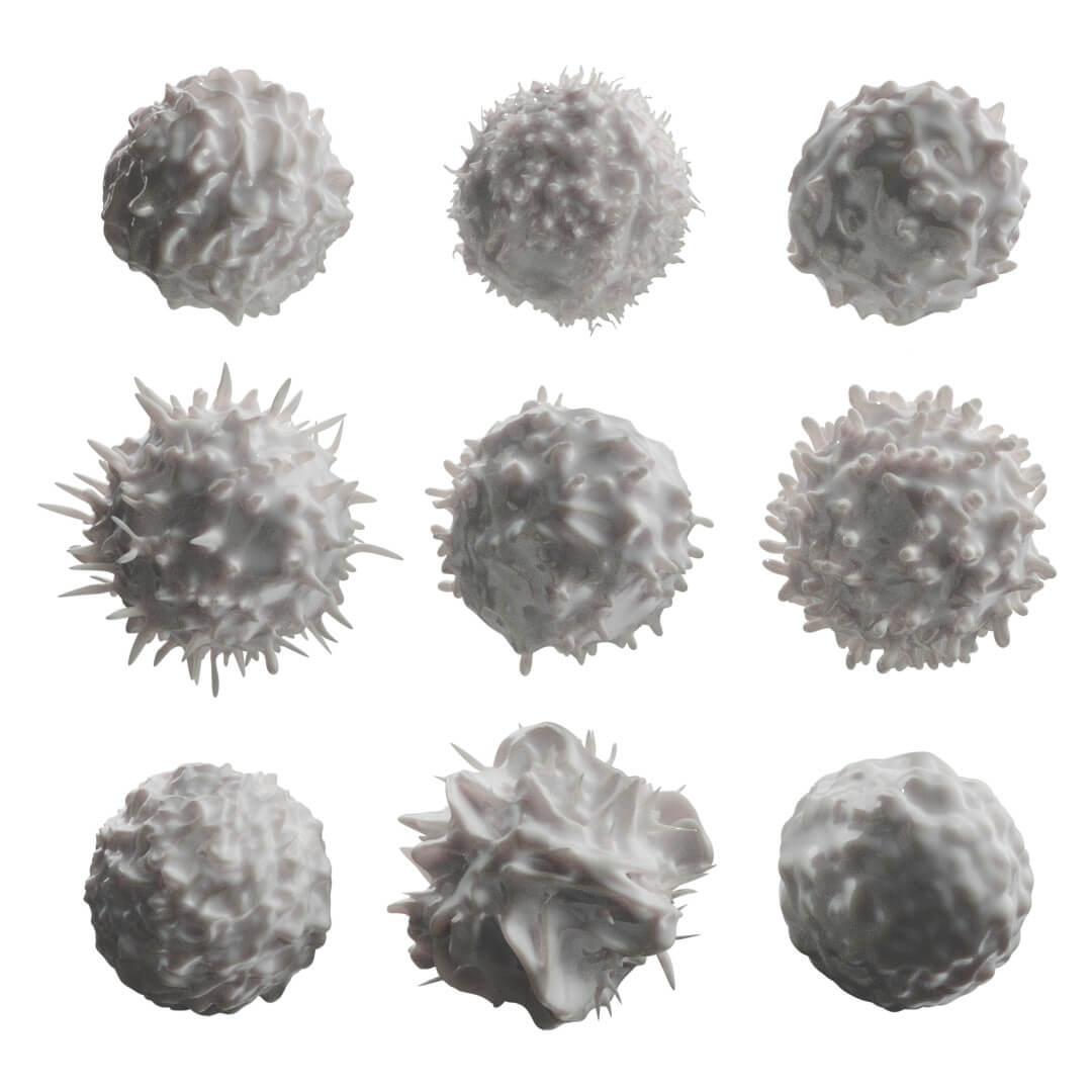 Lymphocytes Pack - 3D Model by zames1992d