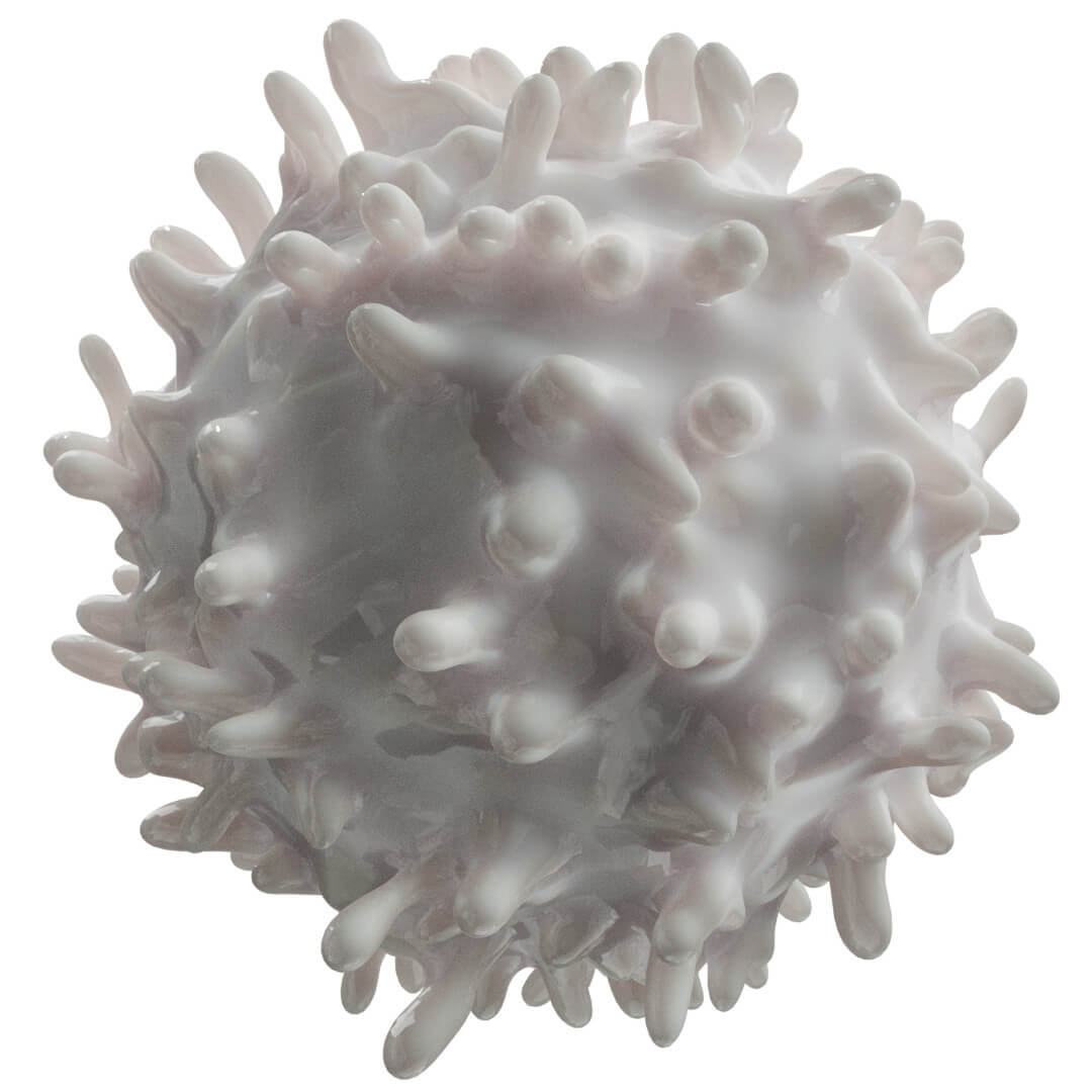 Lymphocytes Pack - 3D Model by zames1992d